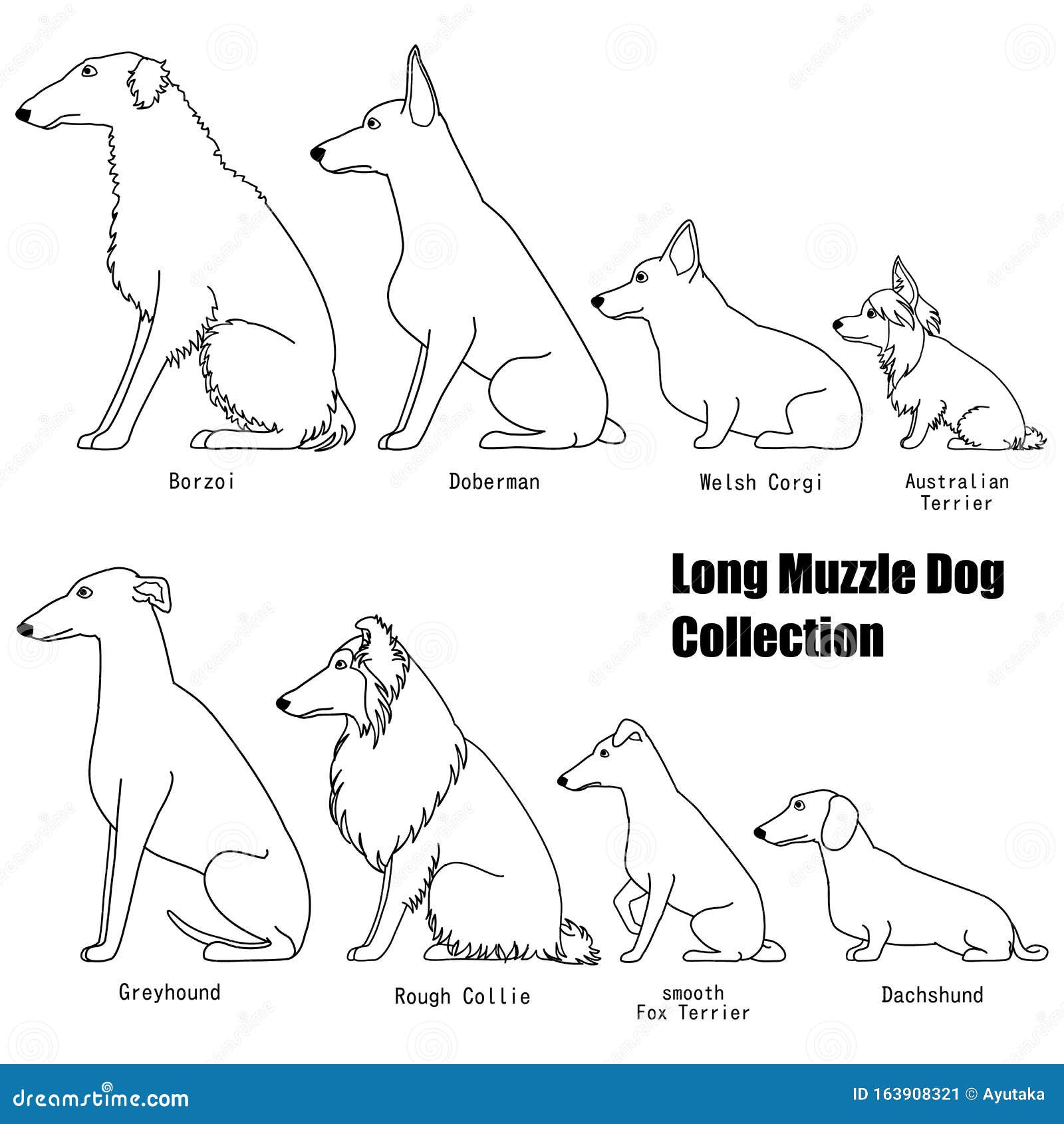 Long muzzle dog collection stock vector. Illustration of rough - 163908321