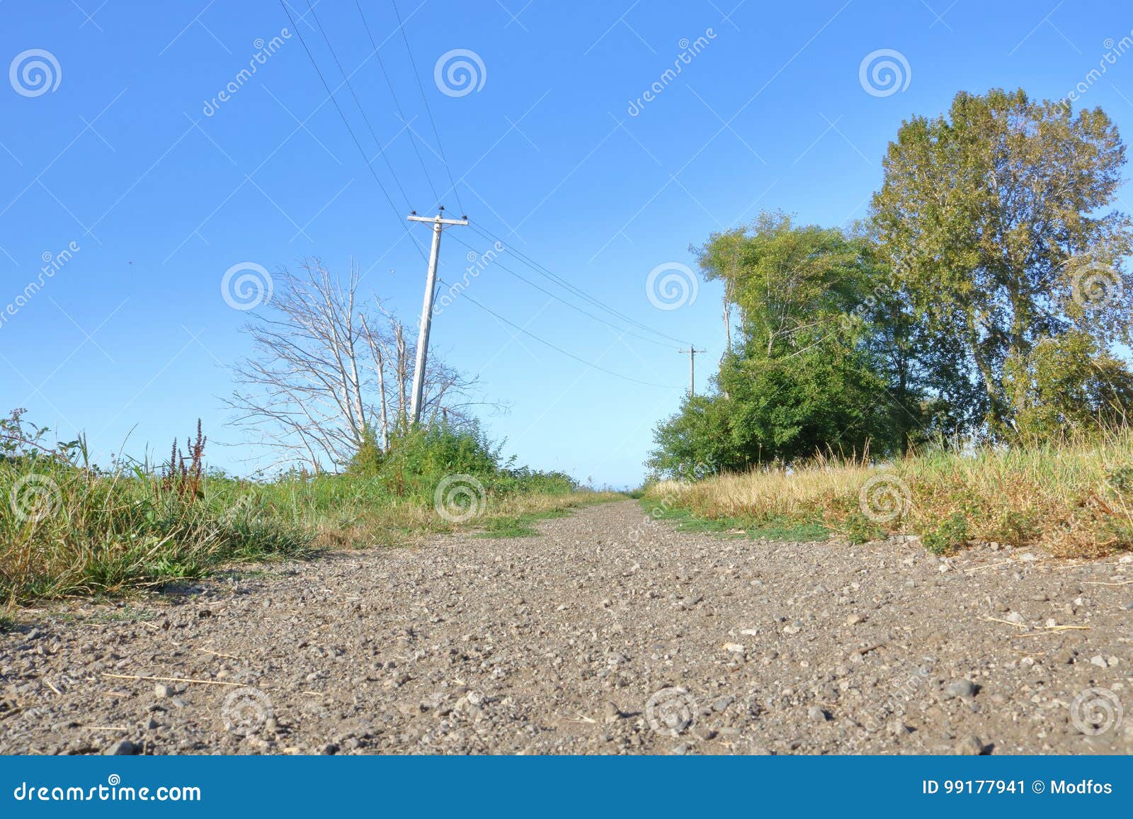 Long and Narrow Country Path Stock Image - Image of summer, clear: 99177941