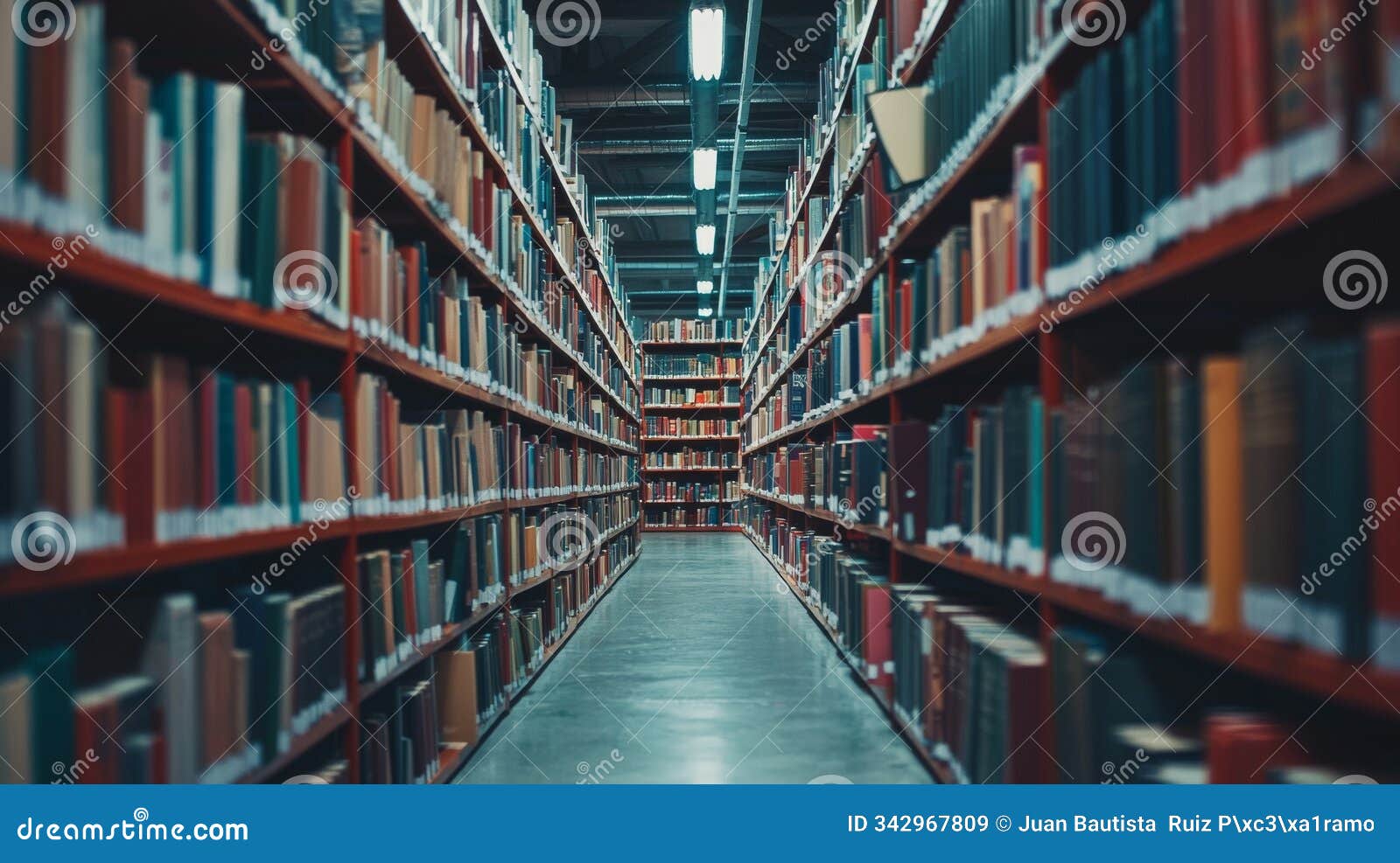 Long Narrow Library Aisle Lined with Books on Both Sides Stock Image ...