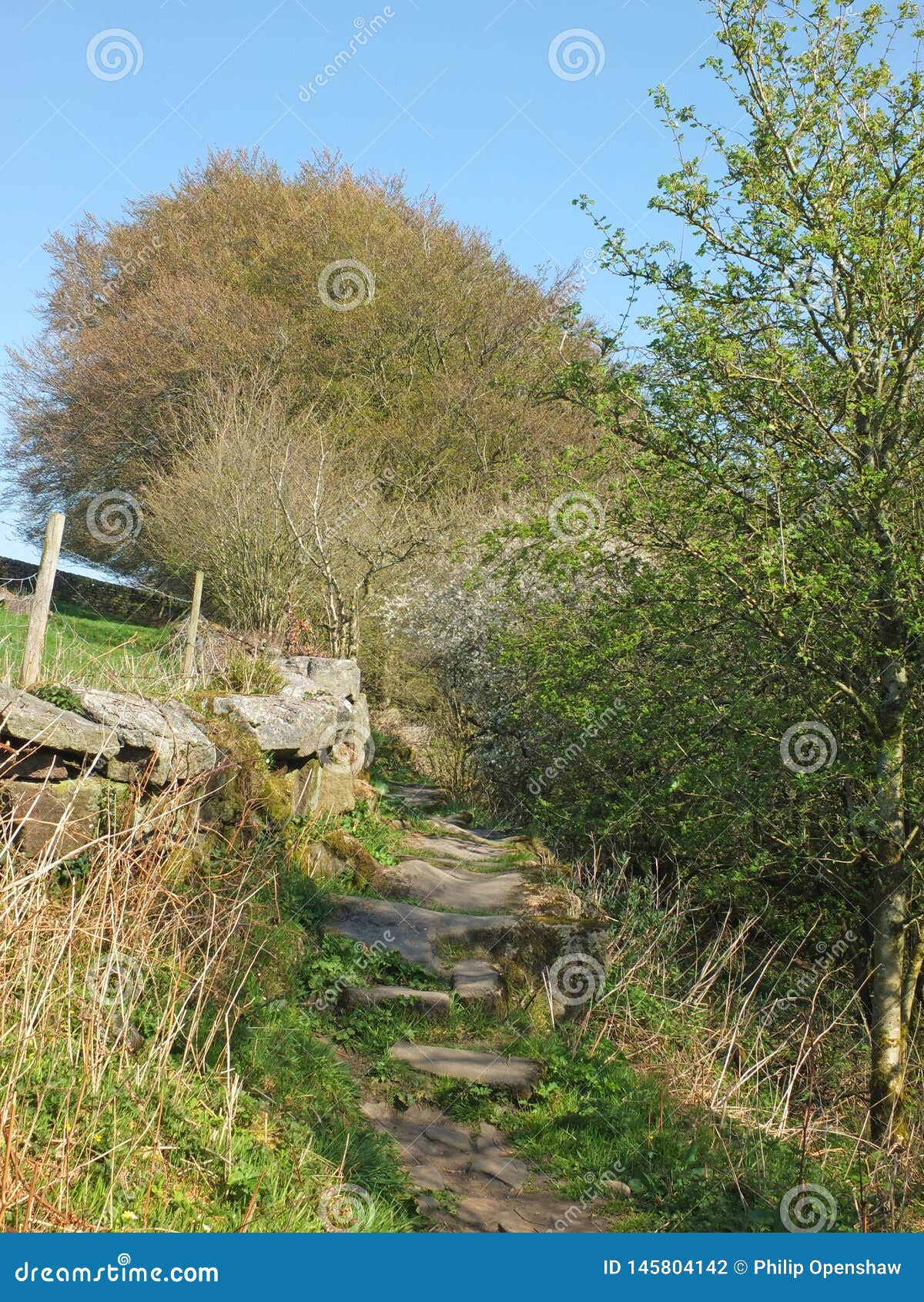 A Long Narrow Path Alongside a Moss Covered Stone Wall and Fence with ...