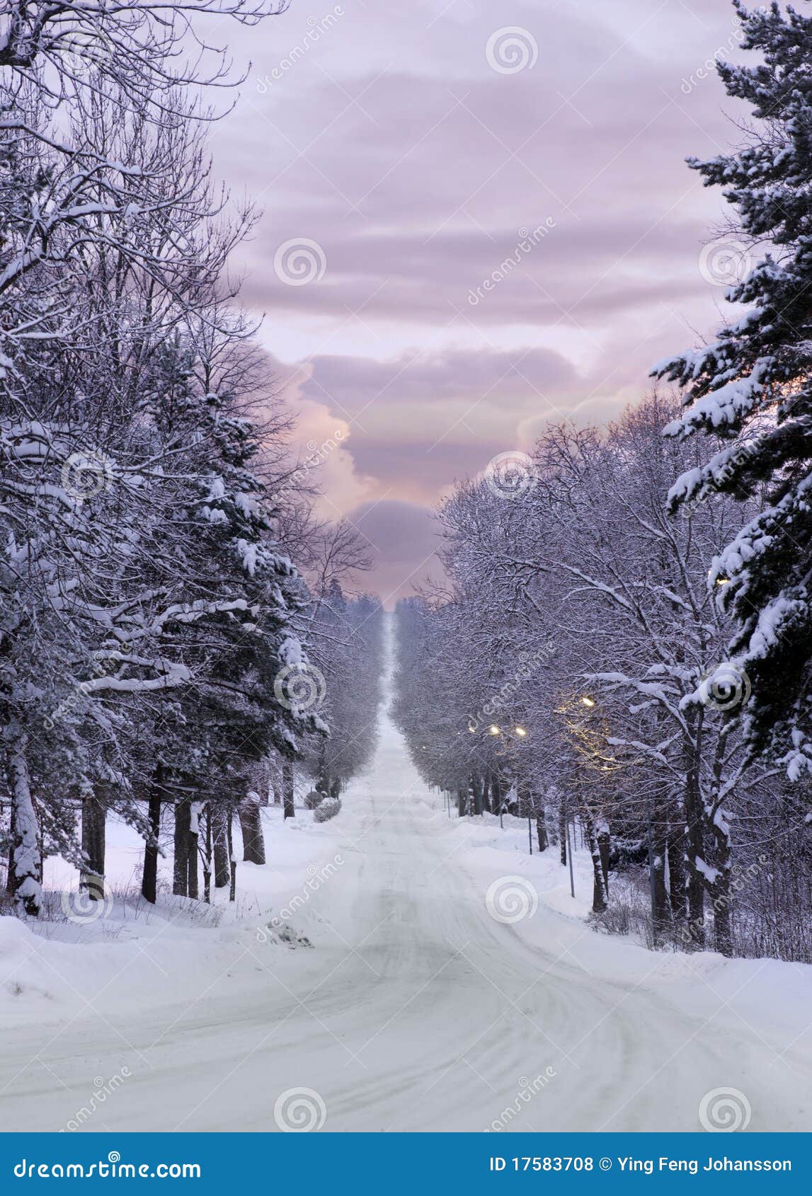 Long narrow road stock photo. Image of narrow, cloudscape - 17583708