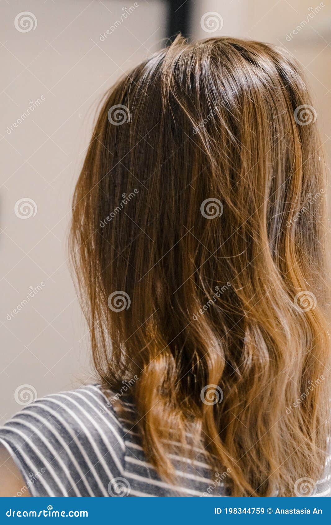 Long Natural Light Brown Hair Stock Image - Image of women, hair: 198344759
