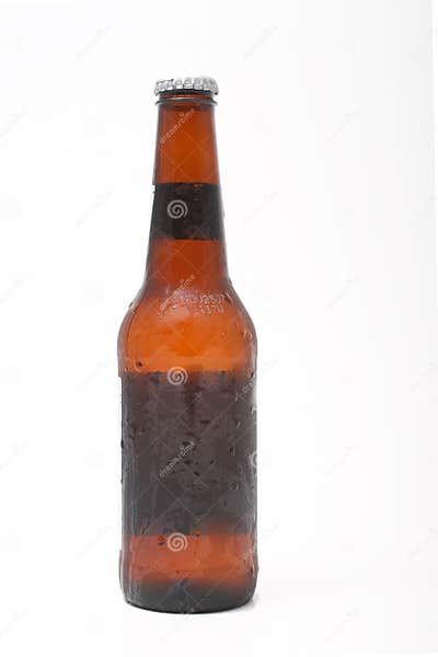 Long neck beer bottle stock image. Image of frosty, foamy - 3684151