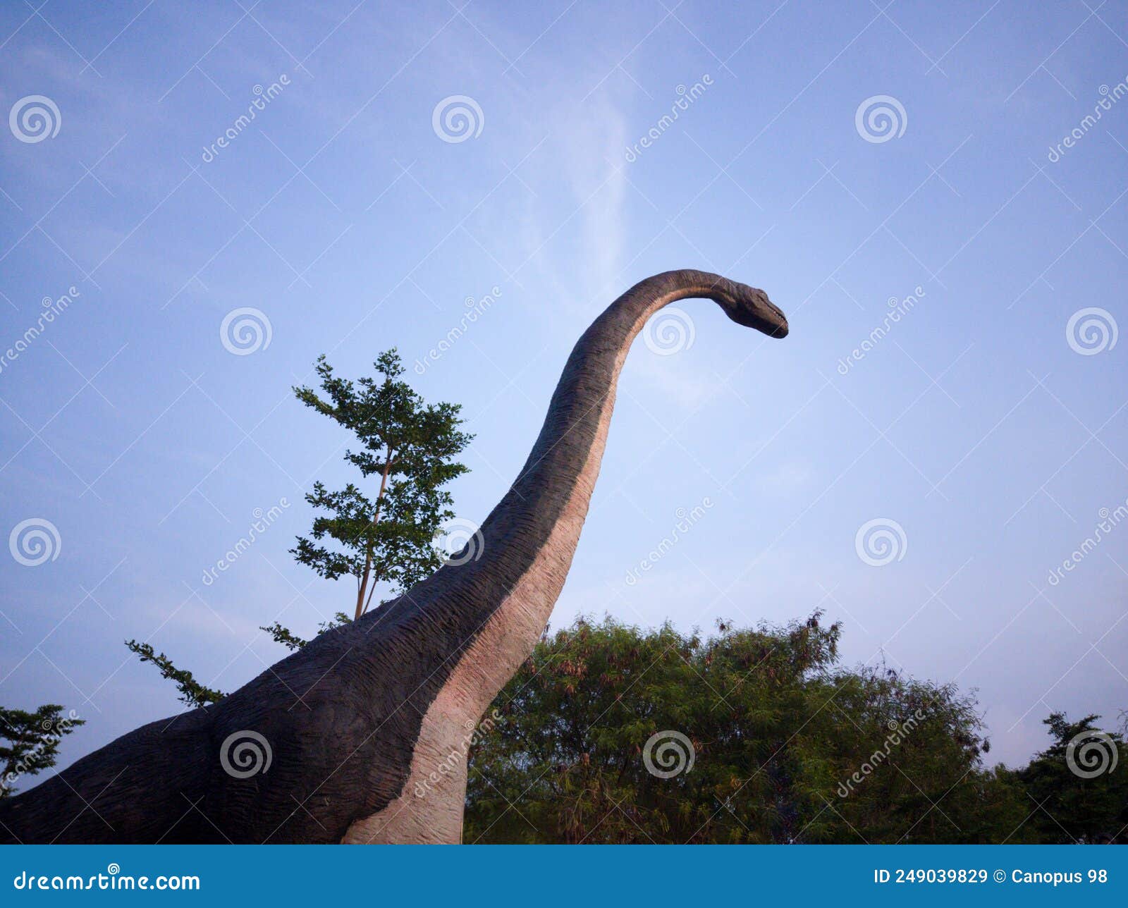 Long Neck Guy editorial stock image. Image of long, west - 249039829