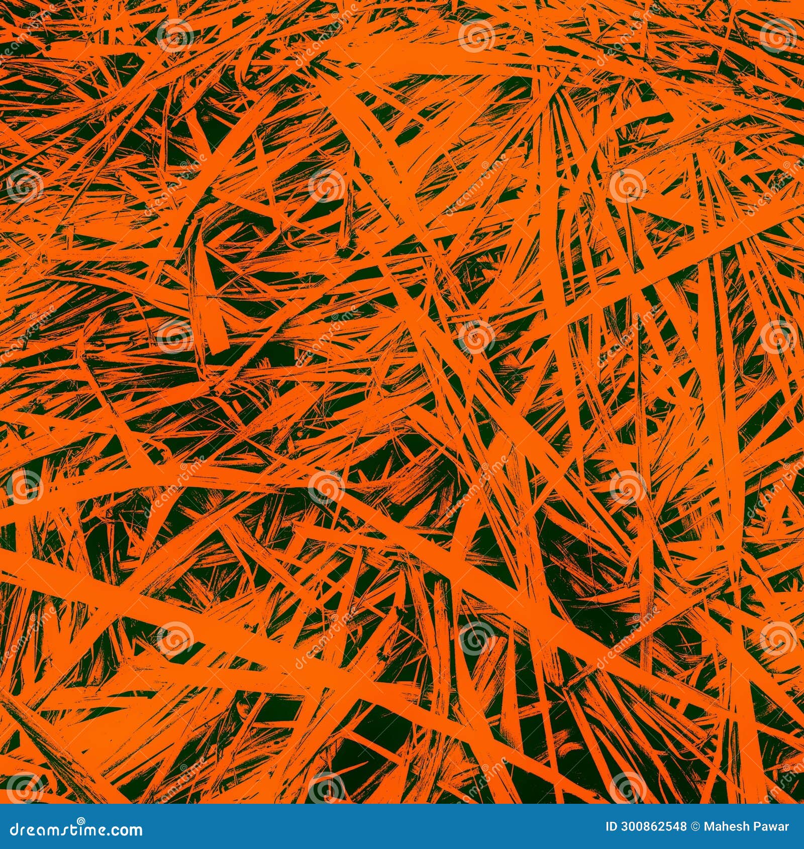 Long Orange Color Leaf Blades Pattern Isolated Background Stock ...