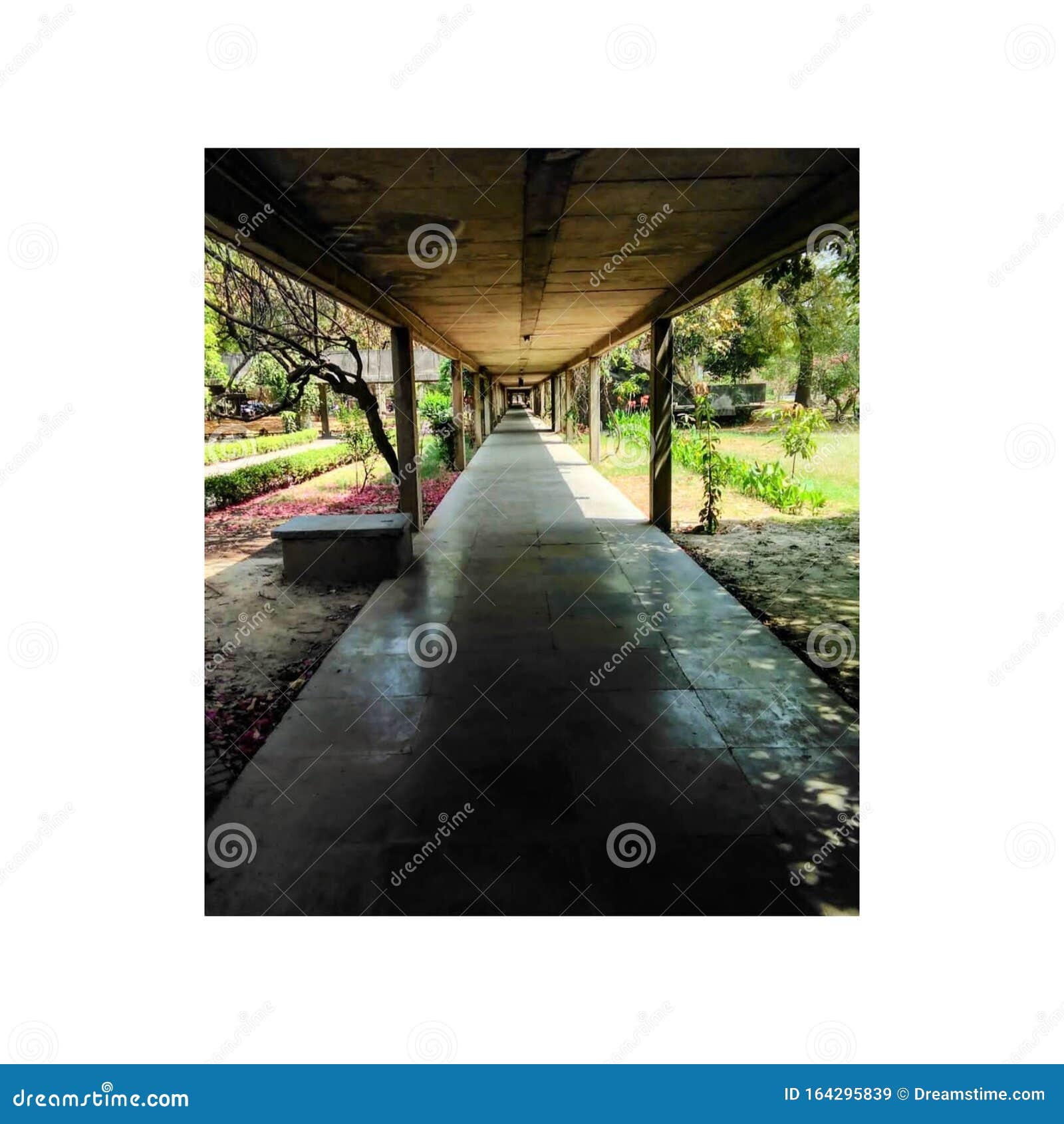 A Long Passage between Two Buildings in IIT KANPUR Stock Image - Image ...