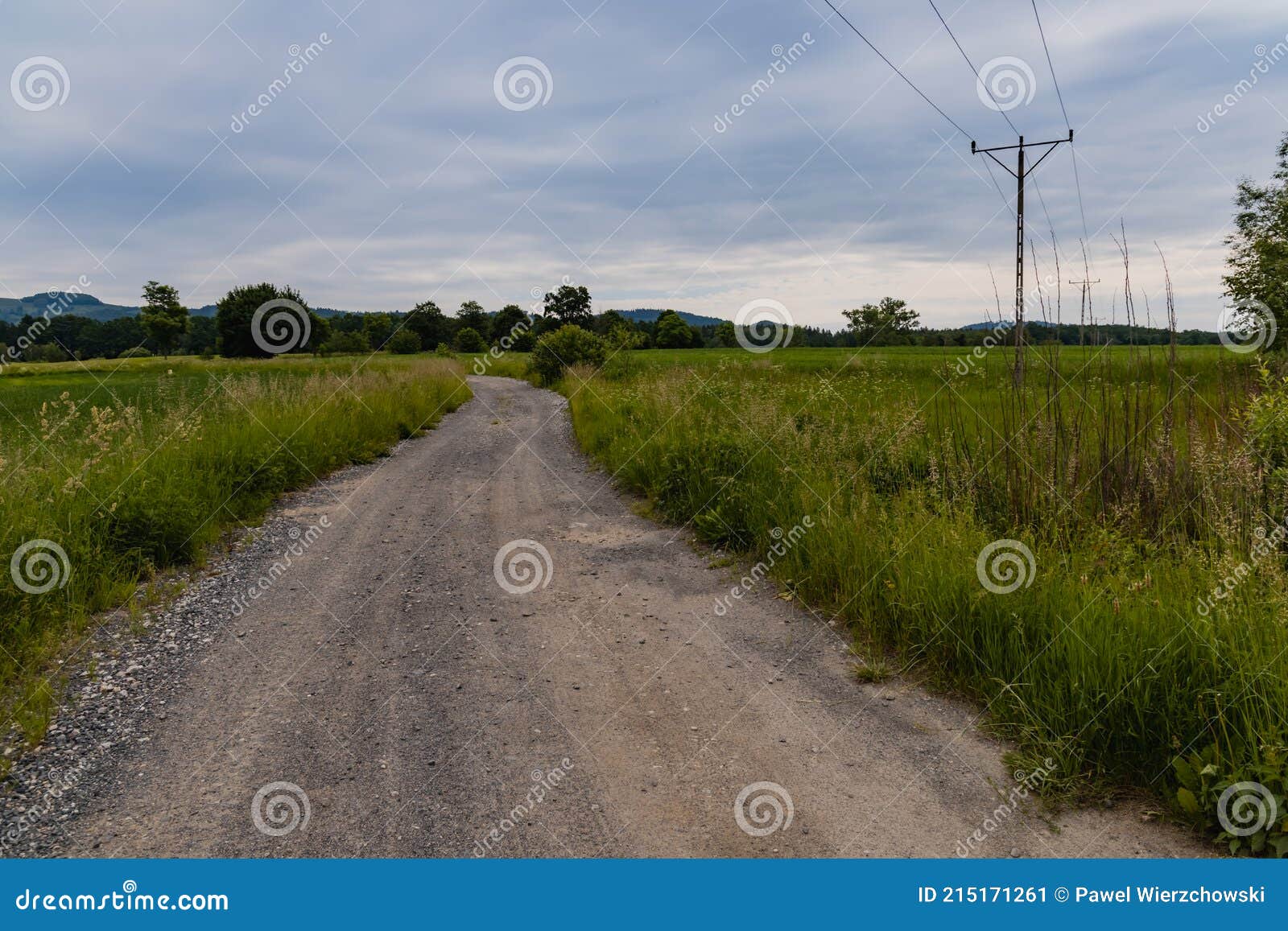 Long Path with Bushes and Fields Around in Mountains Stock Image ...