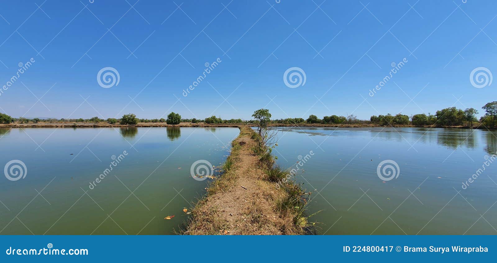 A Long Path between Choices Stock Image - Image of morning, landscape ...