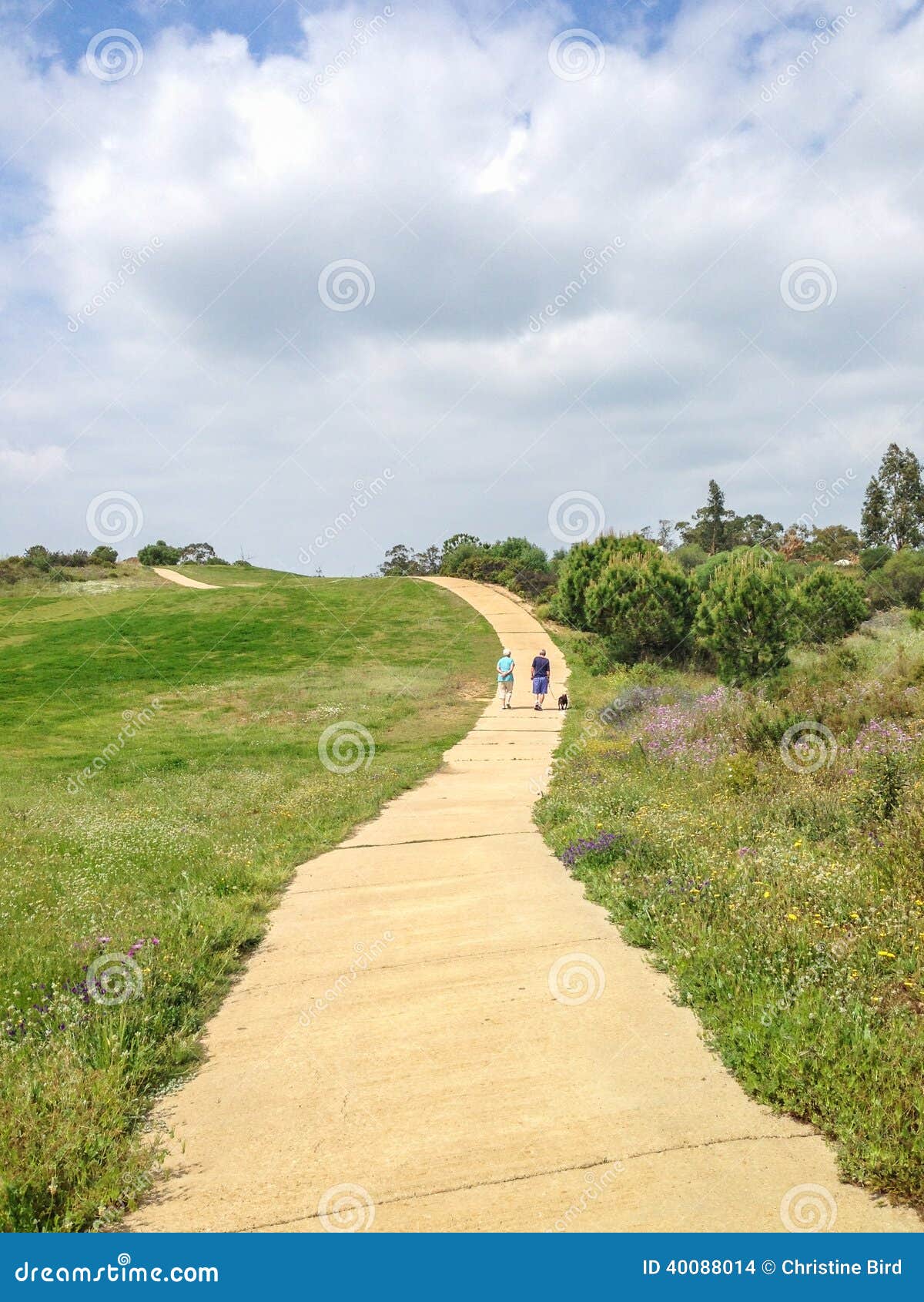 A Long Path in the Countryside Stock Photo - Image of grass, long: 40088014