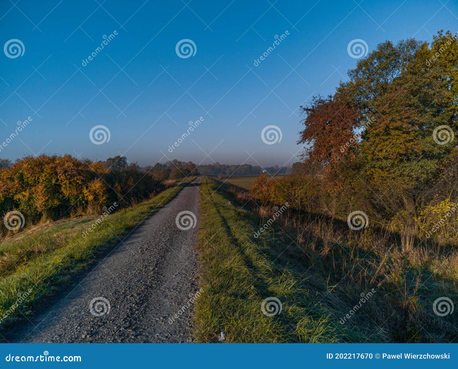 Long Path Full of Small Stones Stock Photo - Image of plant, path ...