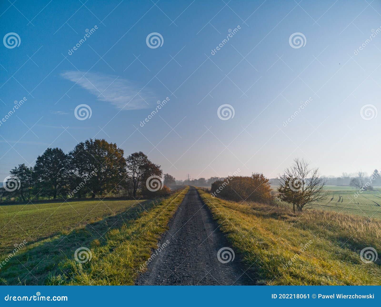 Long Path With Bushes And Fields Around In Mountains Royalty-Free Stock ...