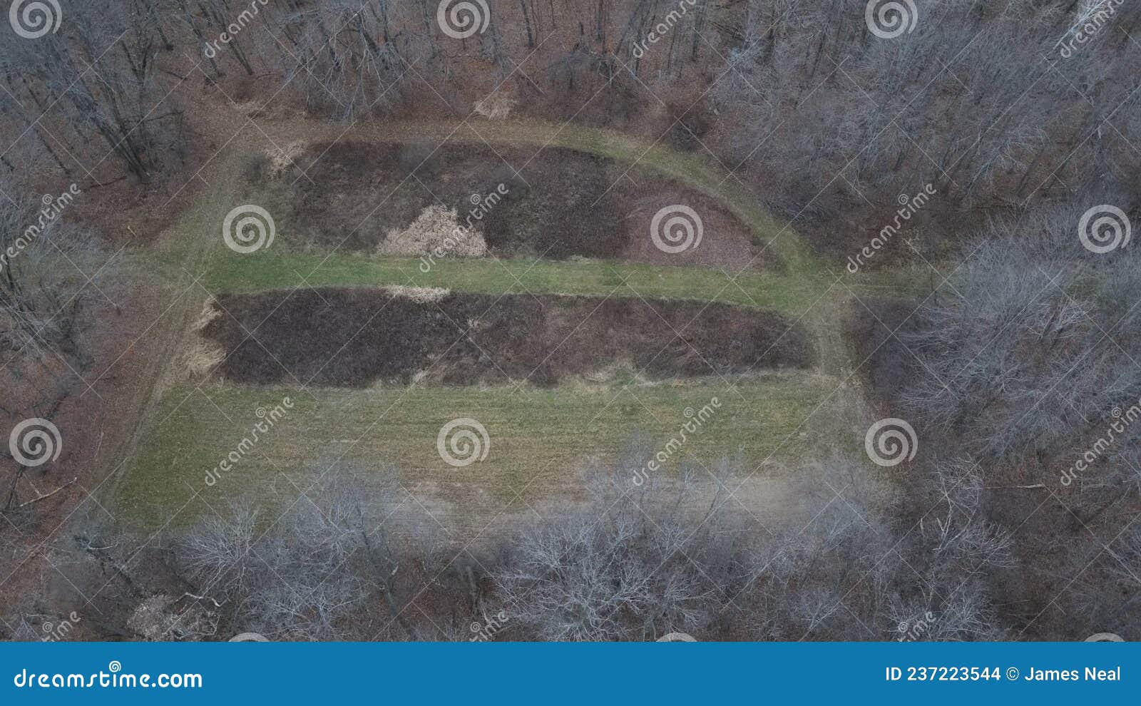 High Angle View of Path and Tree Tops Stock Photo - Image of footpaths ...