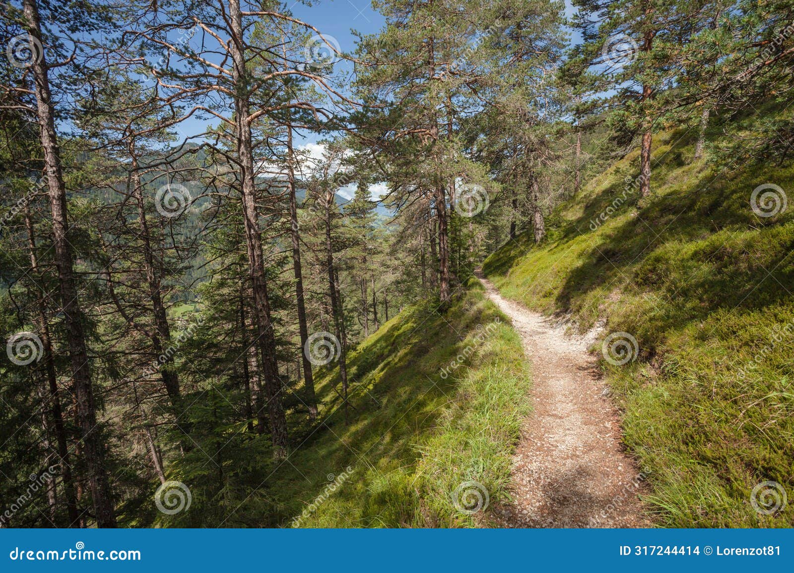 Long a Path Inside a Peaceful Forest , No People Around Stock Photo ...