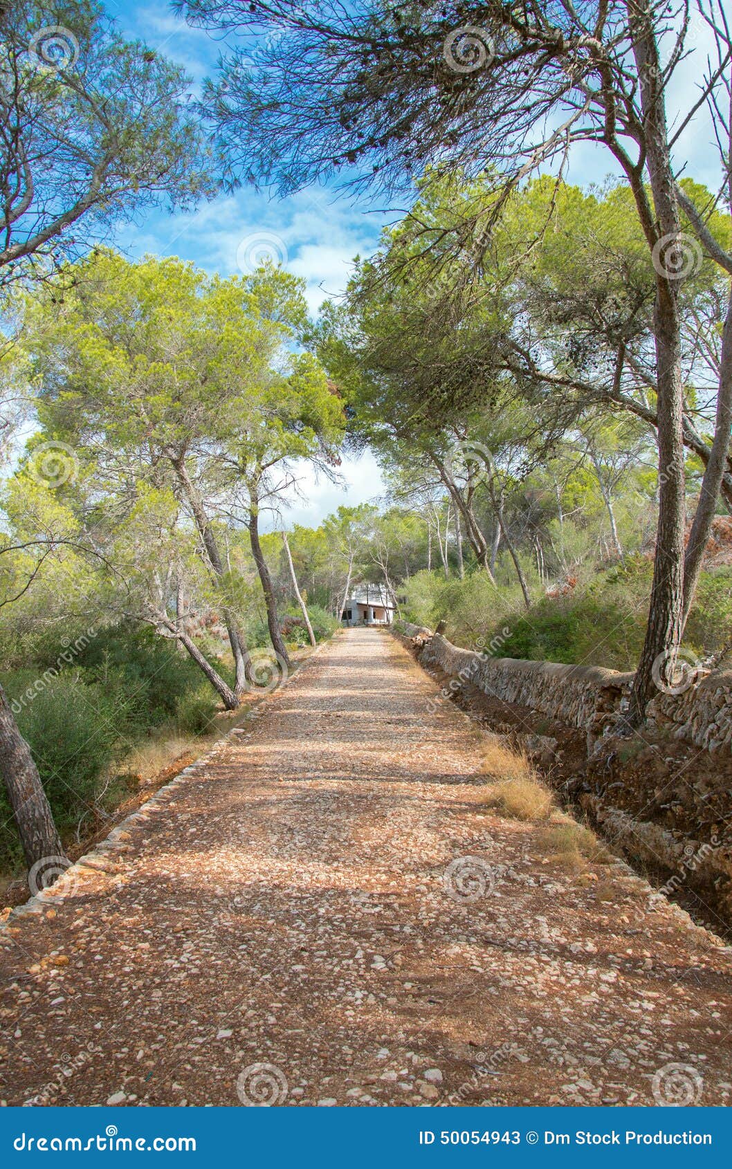 Long Path Leads To the House. Stock Image - Image of road, long: 50054943