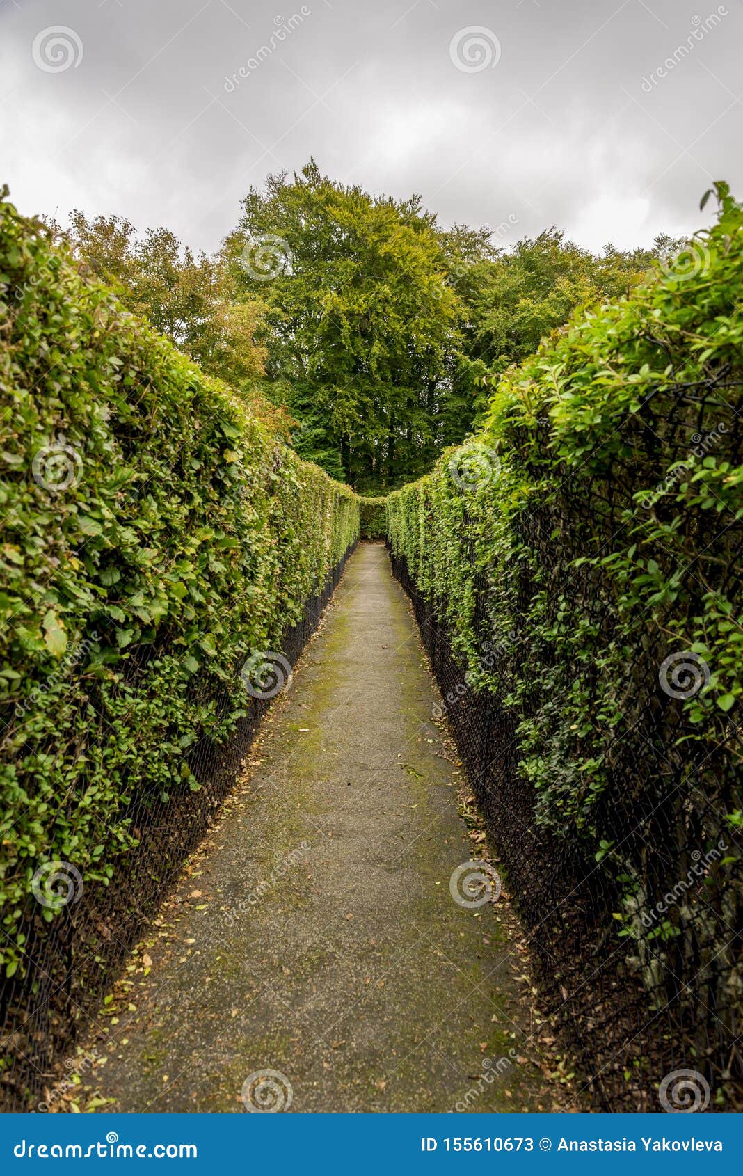 The Dead Hedge Is Located In The Vicinity Of The Wuhle River In The ...