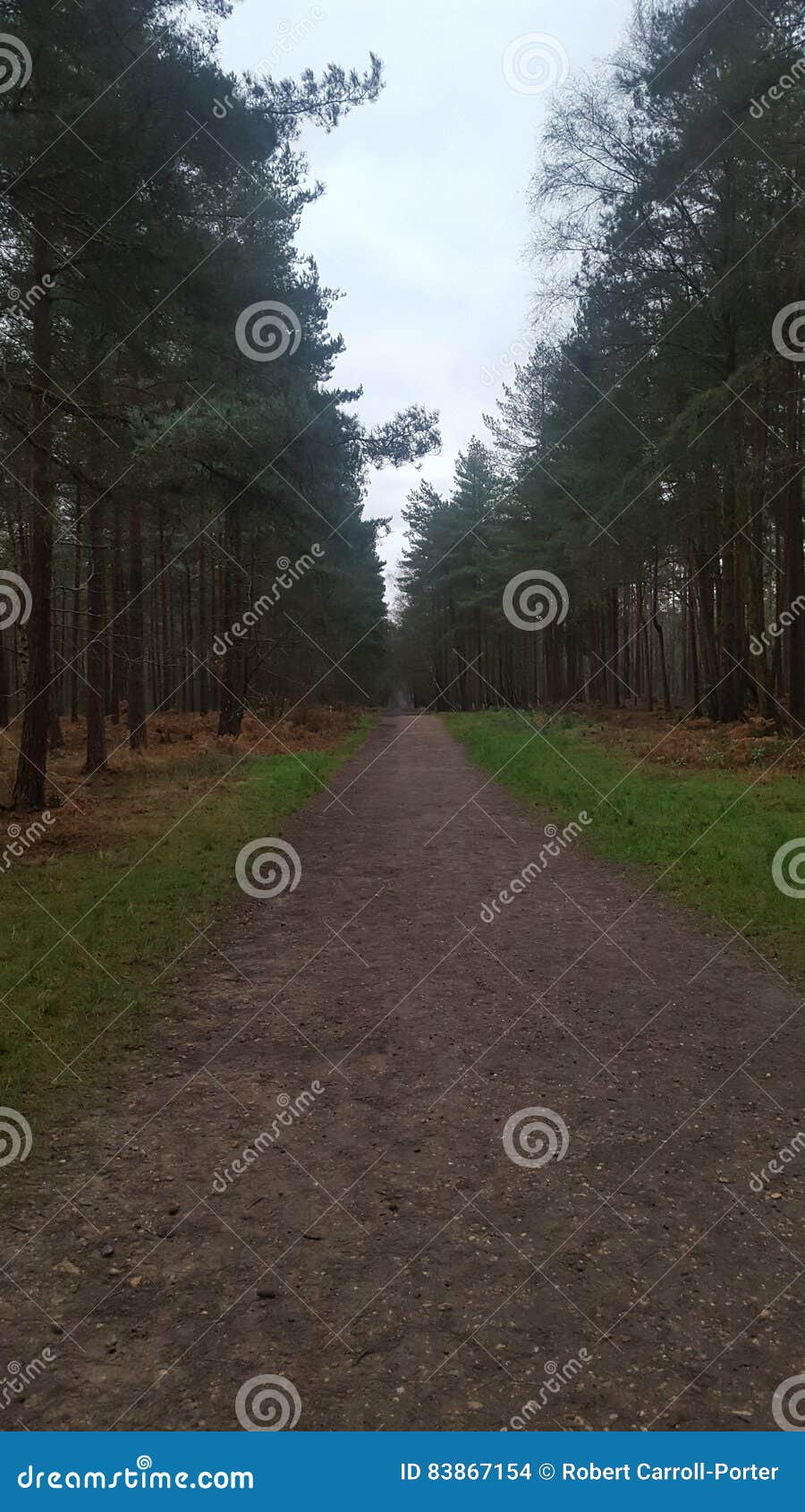 Long path stock photo. Image of muddy, long, side, path - 83867154