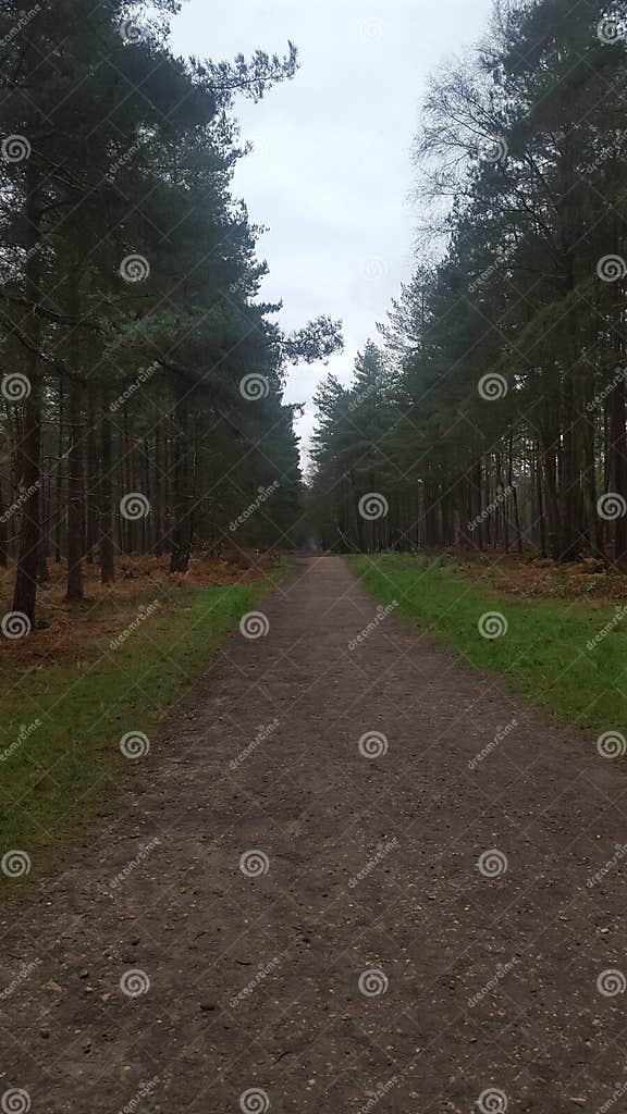 Long path stock photo. Image of muddy, long, side, path - 83867154