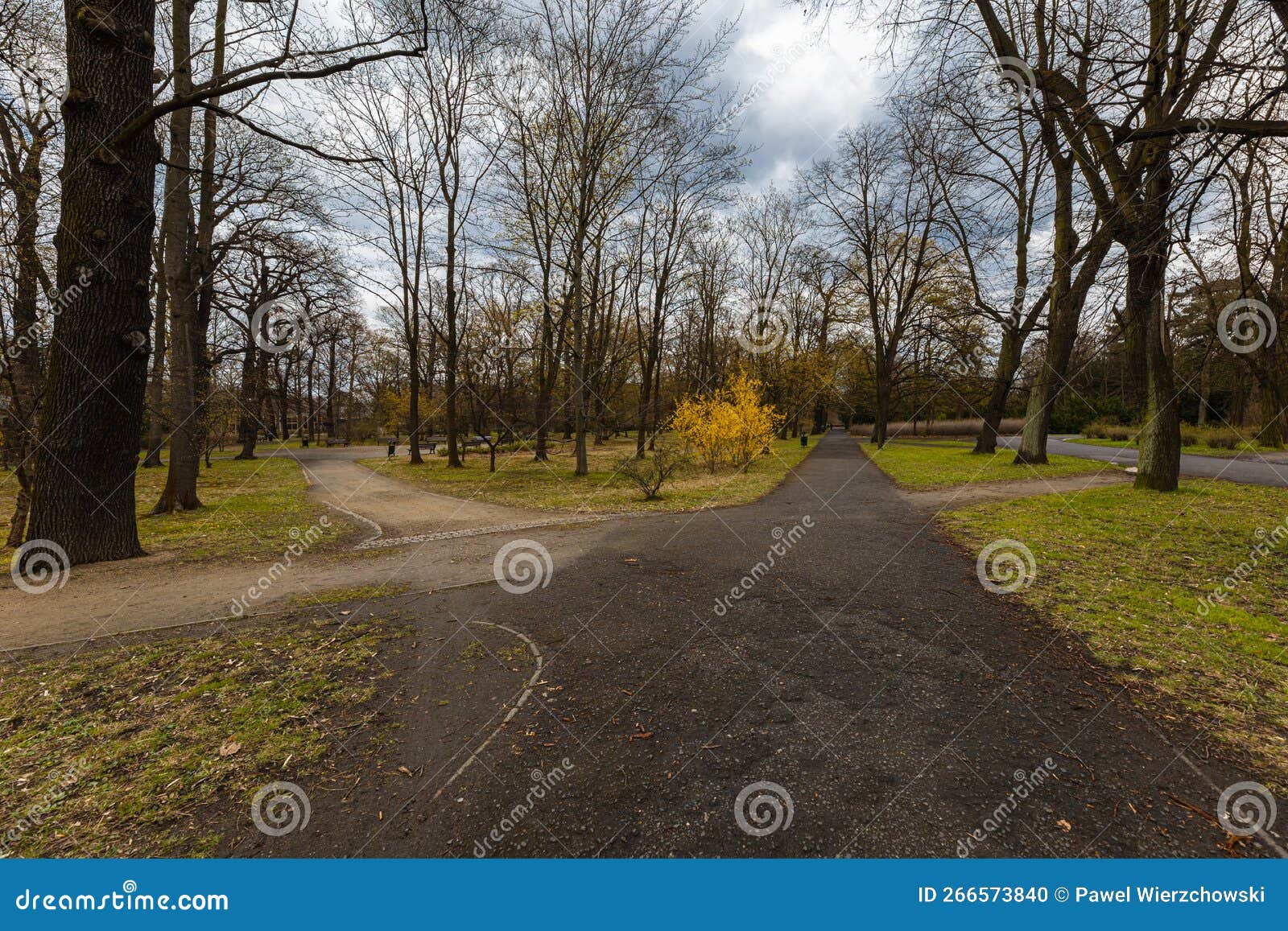 Long Paths in Park with Benches on Sides and Full of Trees Stock Photo ...