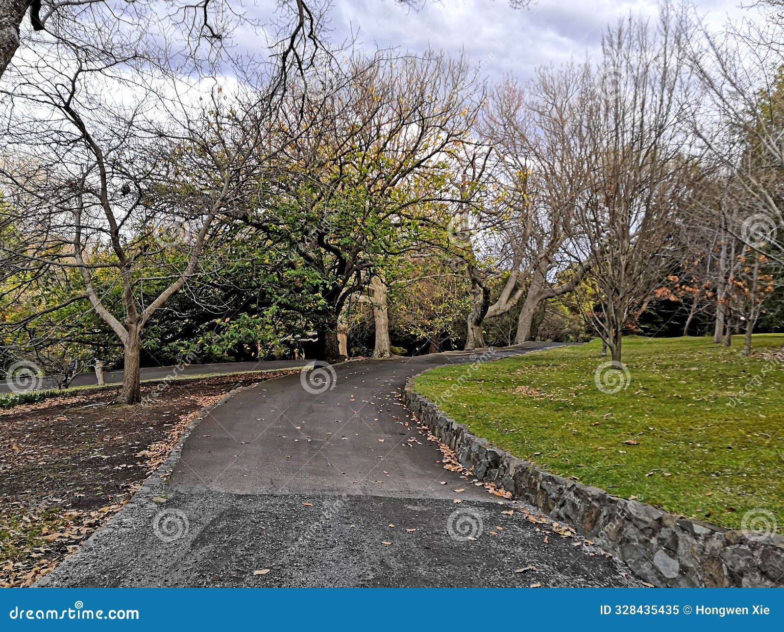 The Long Pathway Leads To a Grove Full of Greenery Stock Image - Image ...