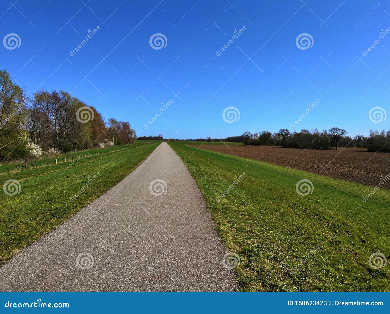 Long pathway over a stock image. Image of nature, long - 150623423