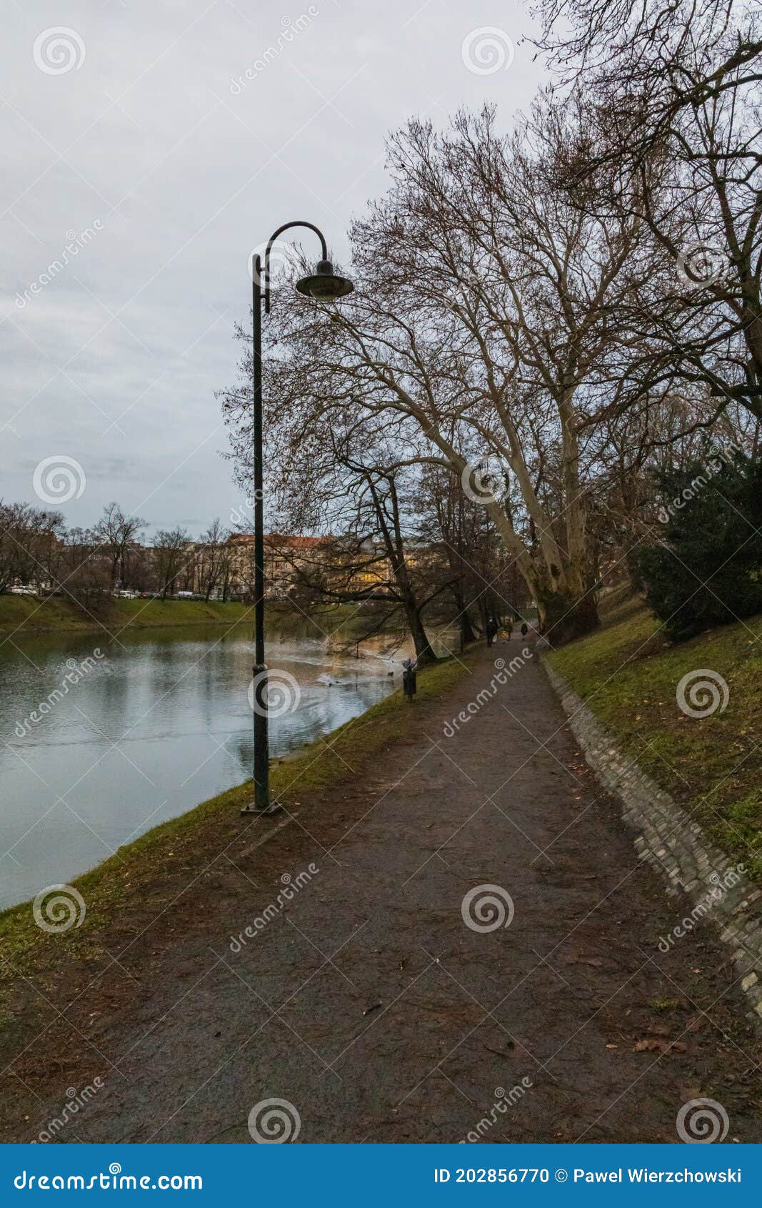Long Pathway in Park with Trees and High Black Lanterns Stock Photo ...