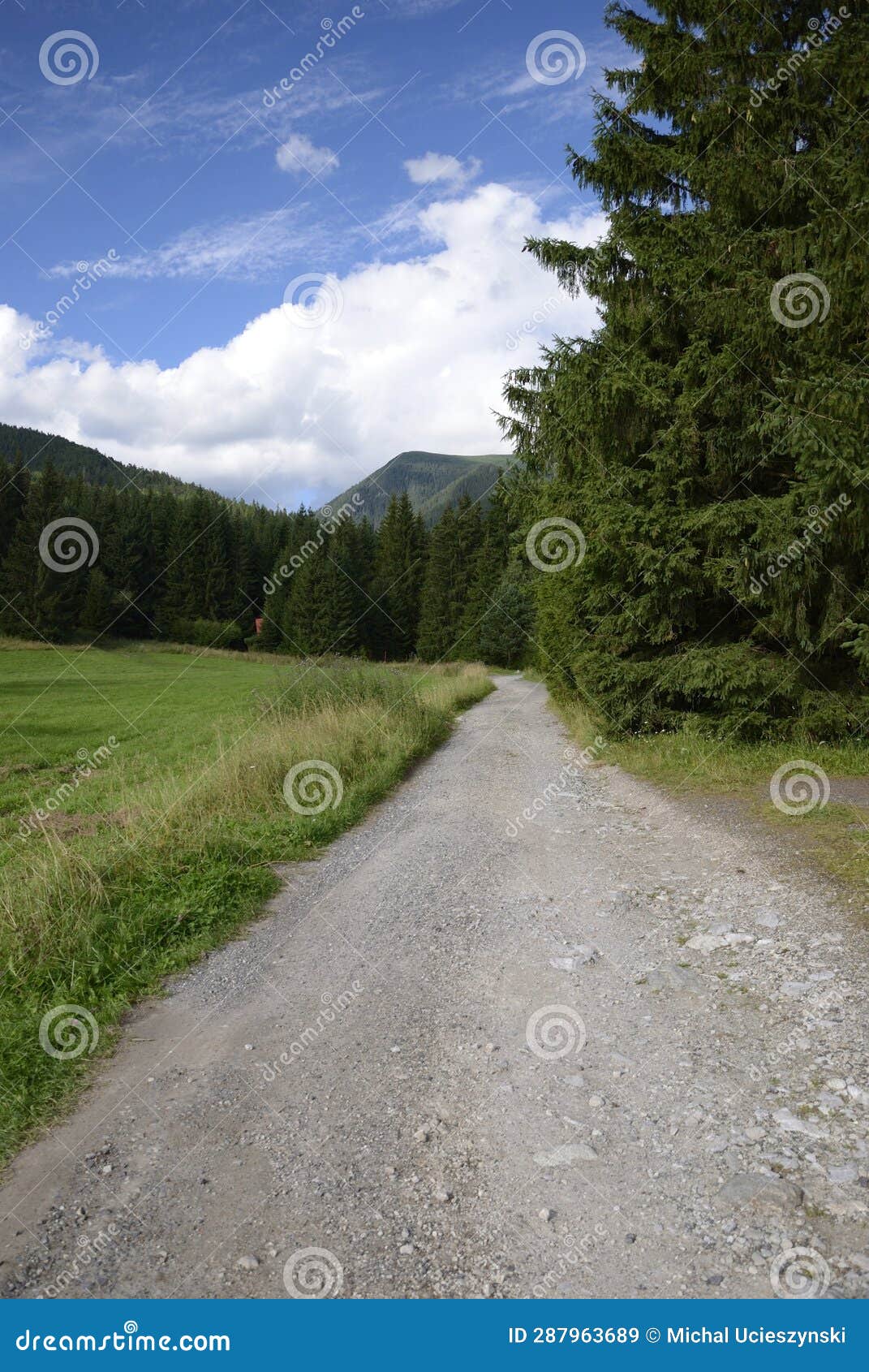 Long Pathway Royalty-Free Stock Photography | CartoonDealer.com #51876269