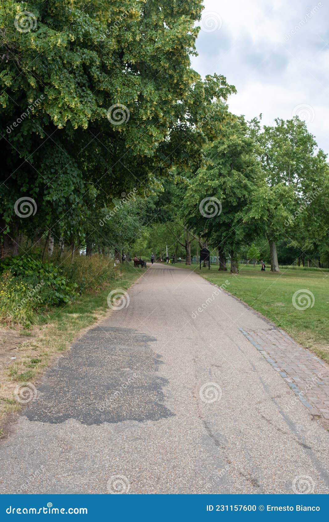 Long Pathway, Stunning Long Trees. Finsbury Park Stock Photo - Image of ...