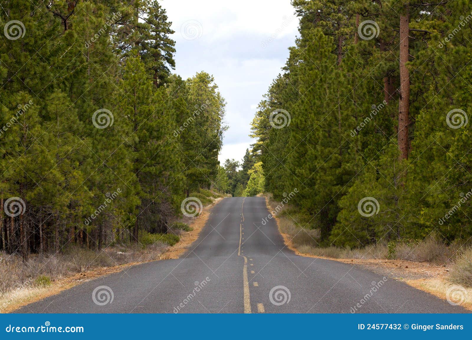 Paved Road Pattern Royalty-Free Stock Image | CartoonDealer.com #163599418
