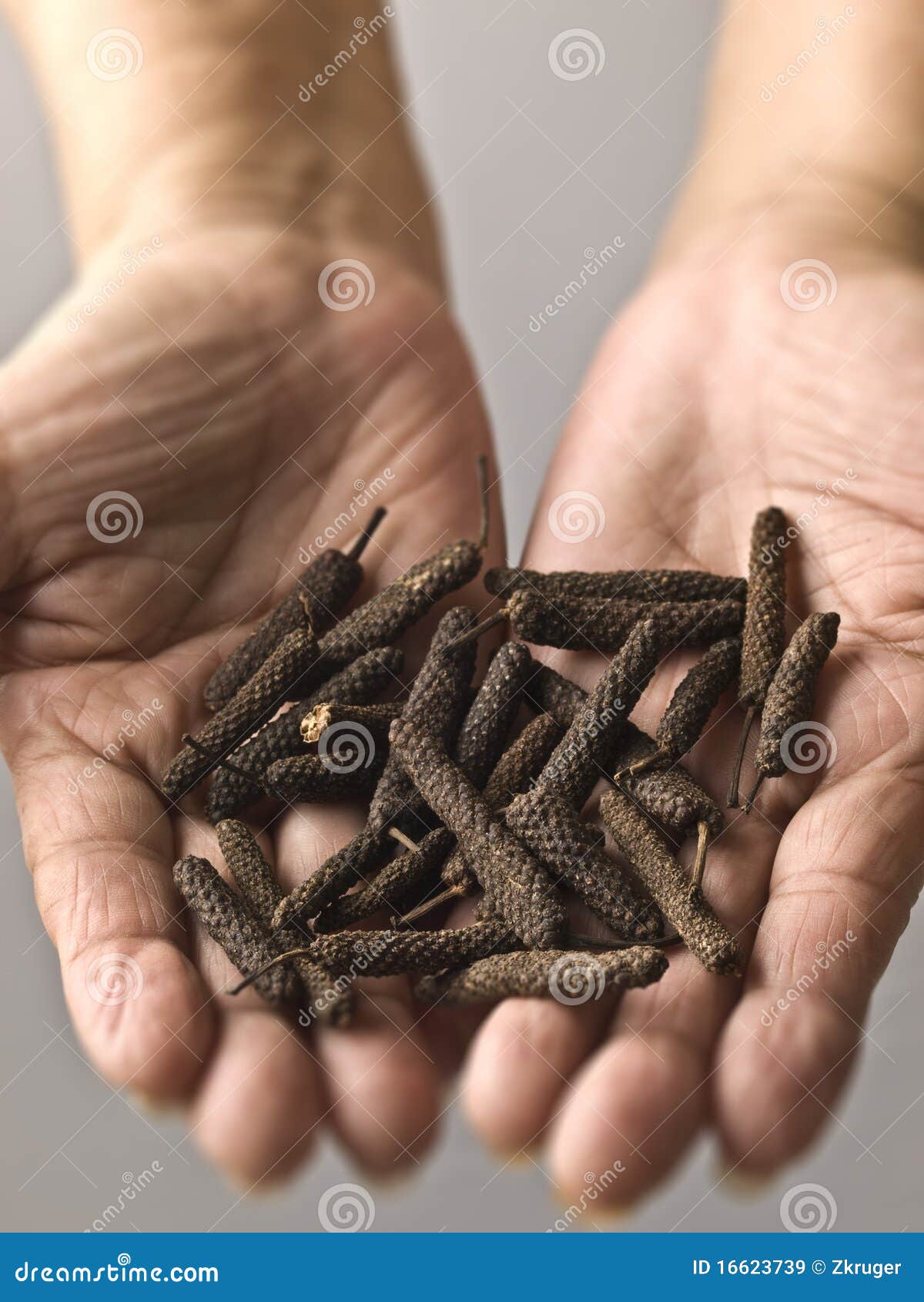 Long Pepper Or Piper Longum Stock Photo | CartoonDealer.com #30764016
