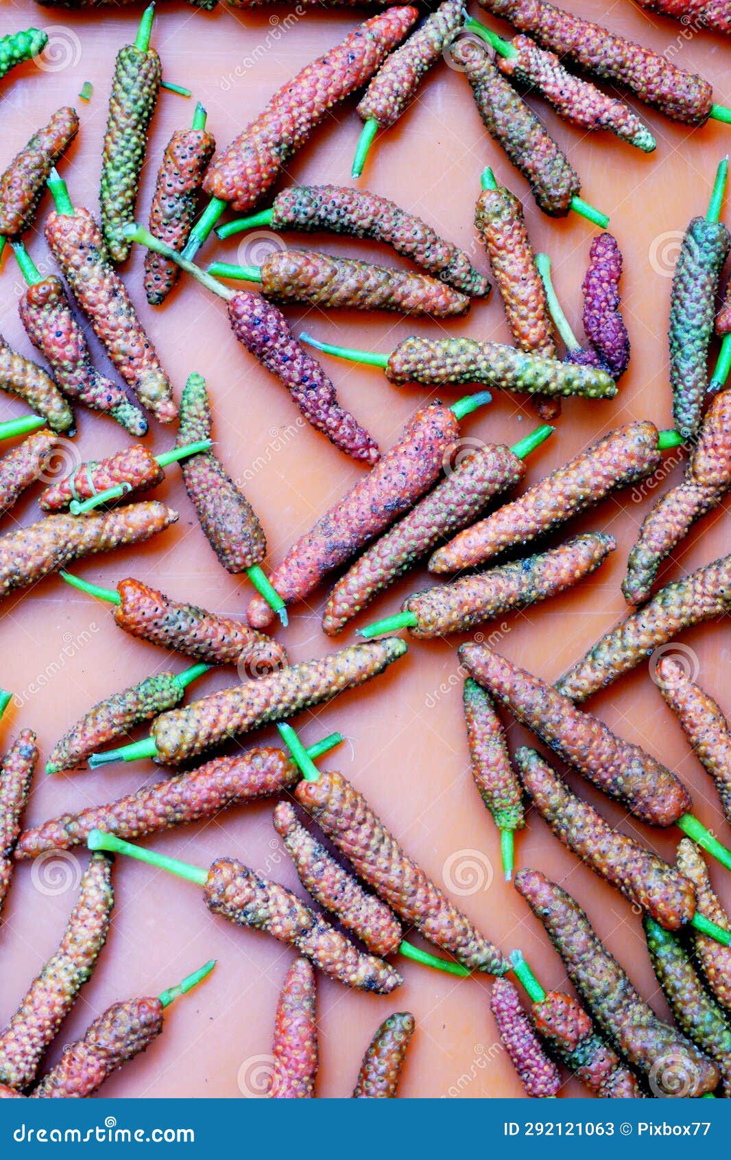 Long Pepper Fruit in Tray Close Up Shot Stock Image - Image of flavor ...