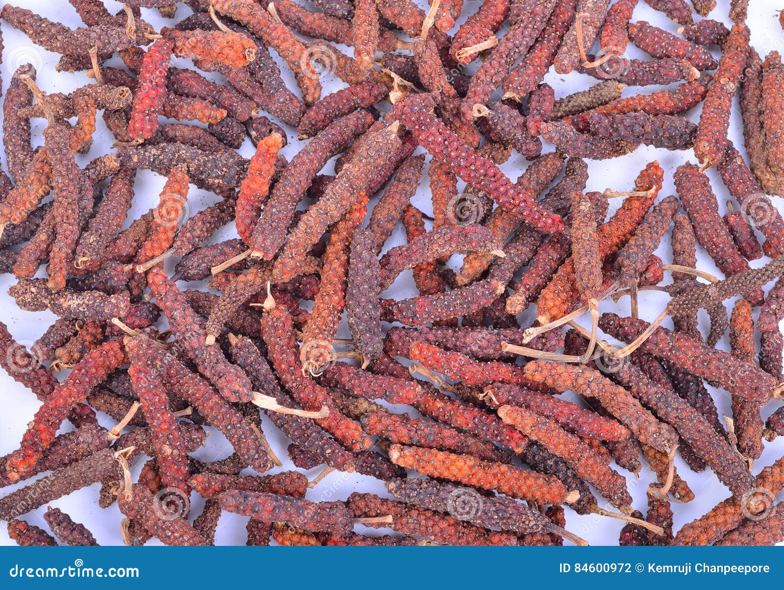 The Long Pepper, Genus Piper Stock Photo - Image of white, aroma: 84600972