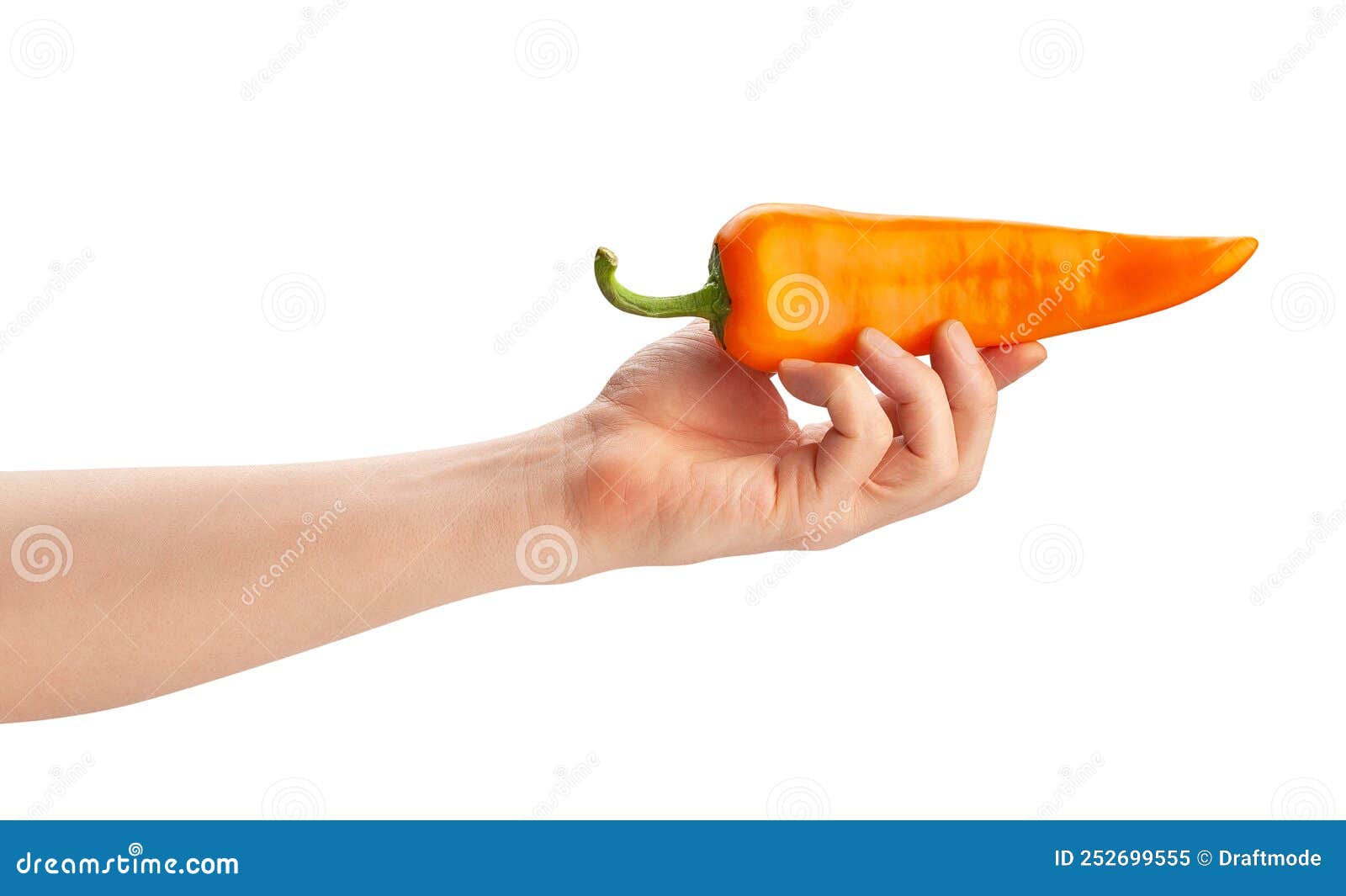 Long pepper in hand stock image. Image of vegetable - 252699555