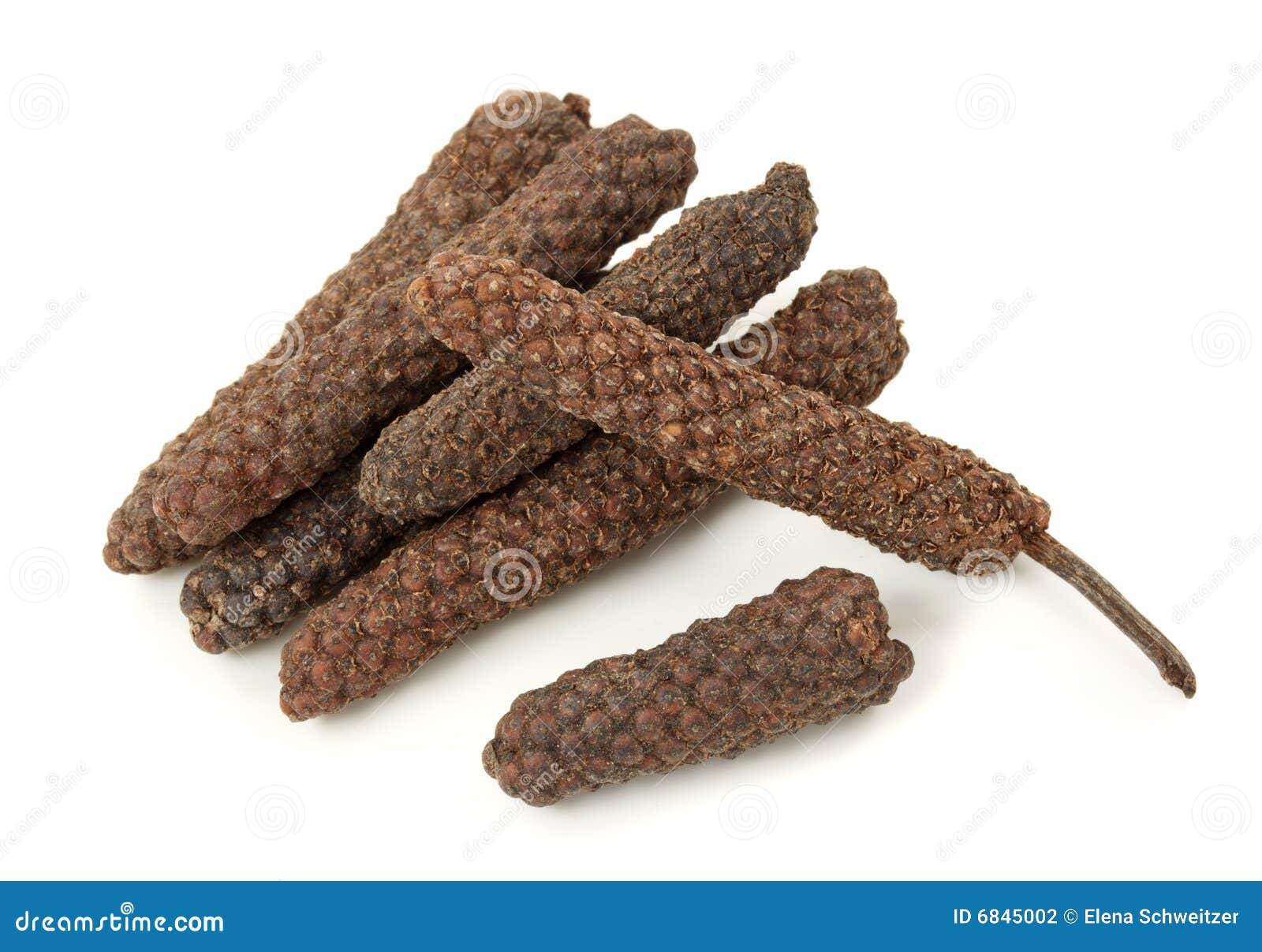 Long Pepper or Piper Longum Stock Photo - Image of brown, pepper: 6845002