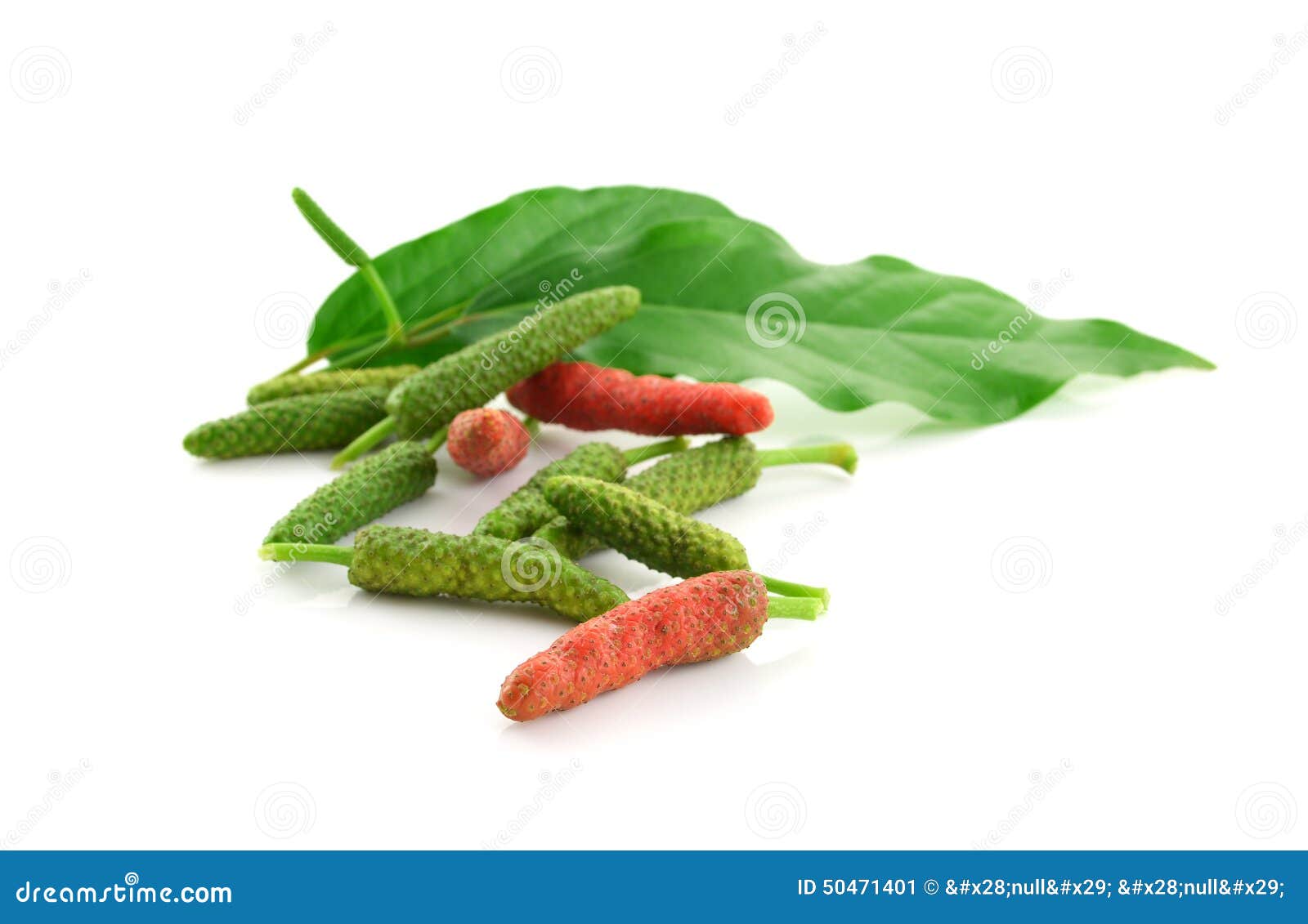 Long Pepper or Piper Longum Isolated on White Background Stock Image ...