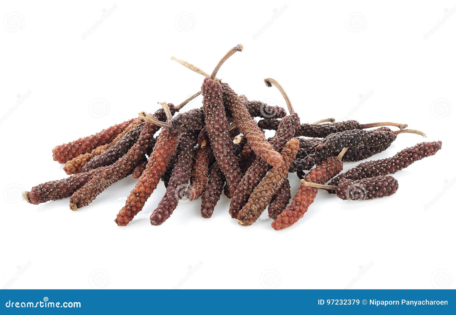 Long Pepper or Piper Longum Stock Image - Image of spice, asian: 97232379