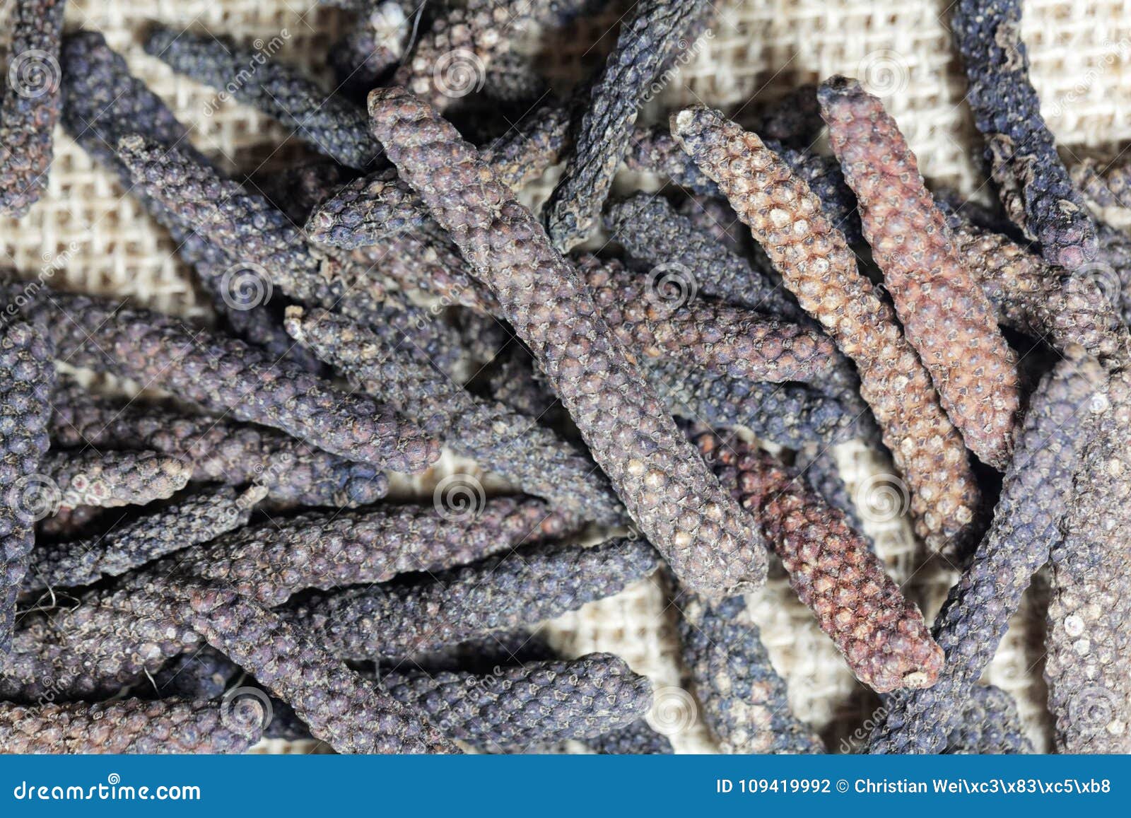 Long pepper Piper longum stock photo. Image of exotic - 109419992