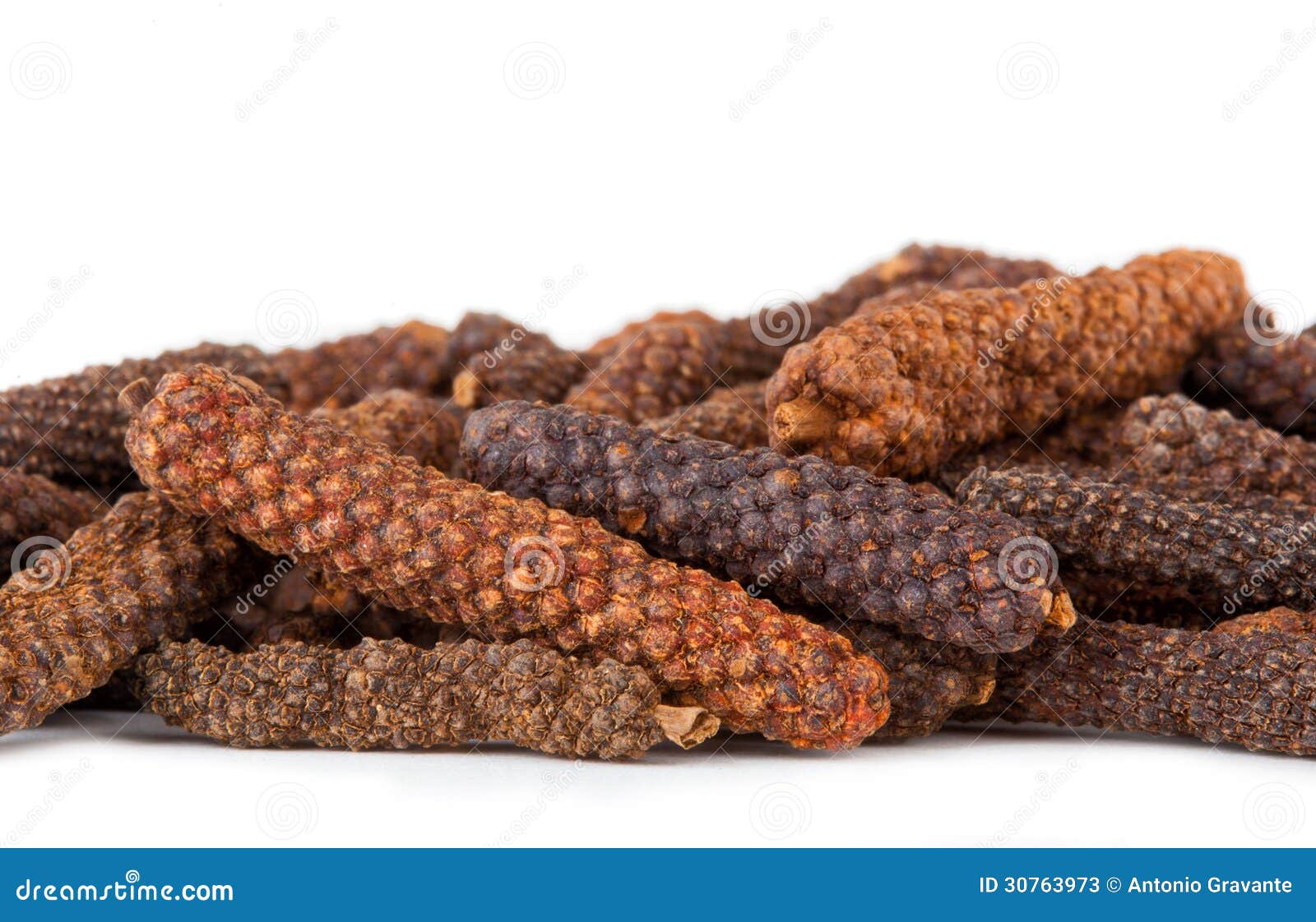 Long Pepper or Piper Longum Stock Image - Image of asie, aroma: 30763973