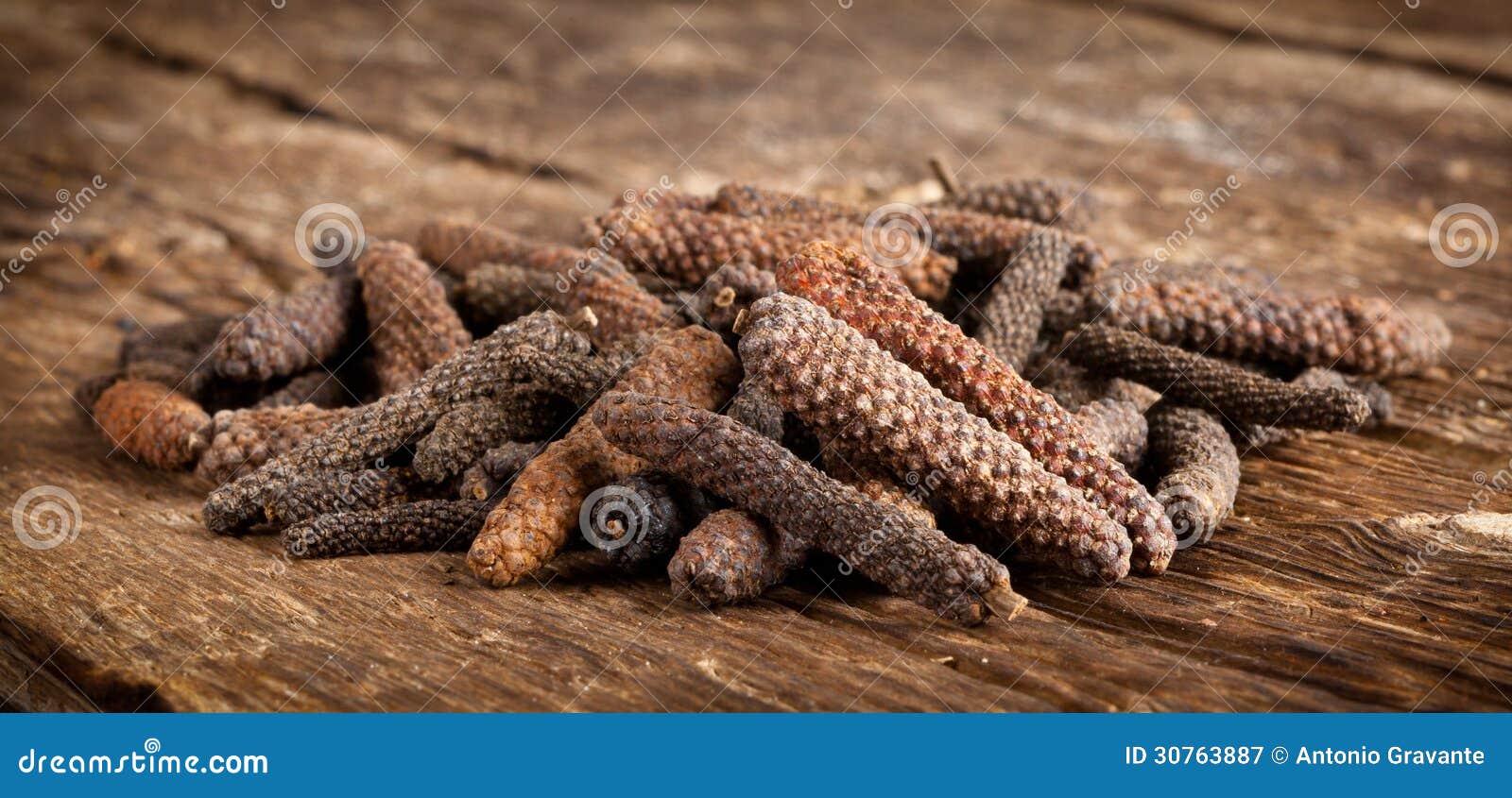 Long Pepper Or Piper Longum On Tree. Stock Photography | CartoonDealer ...