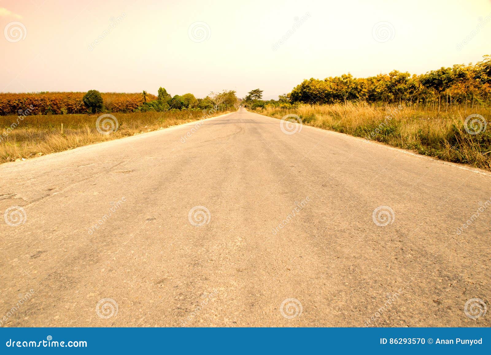 Long Perspective Road in the Countryside Stock Photo - Image of horizon ...