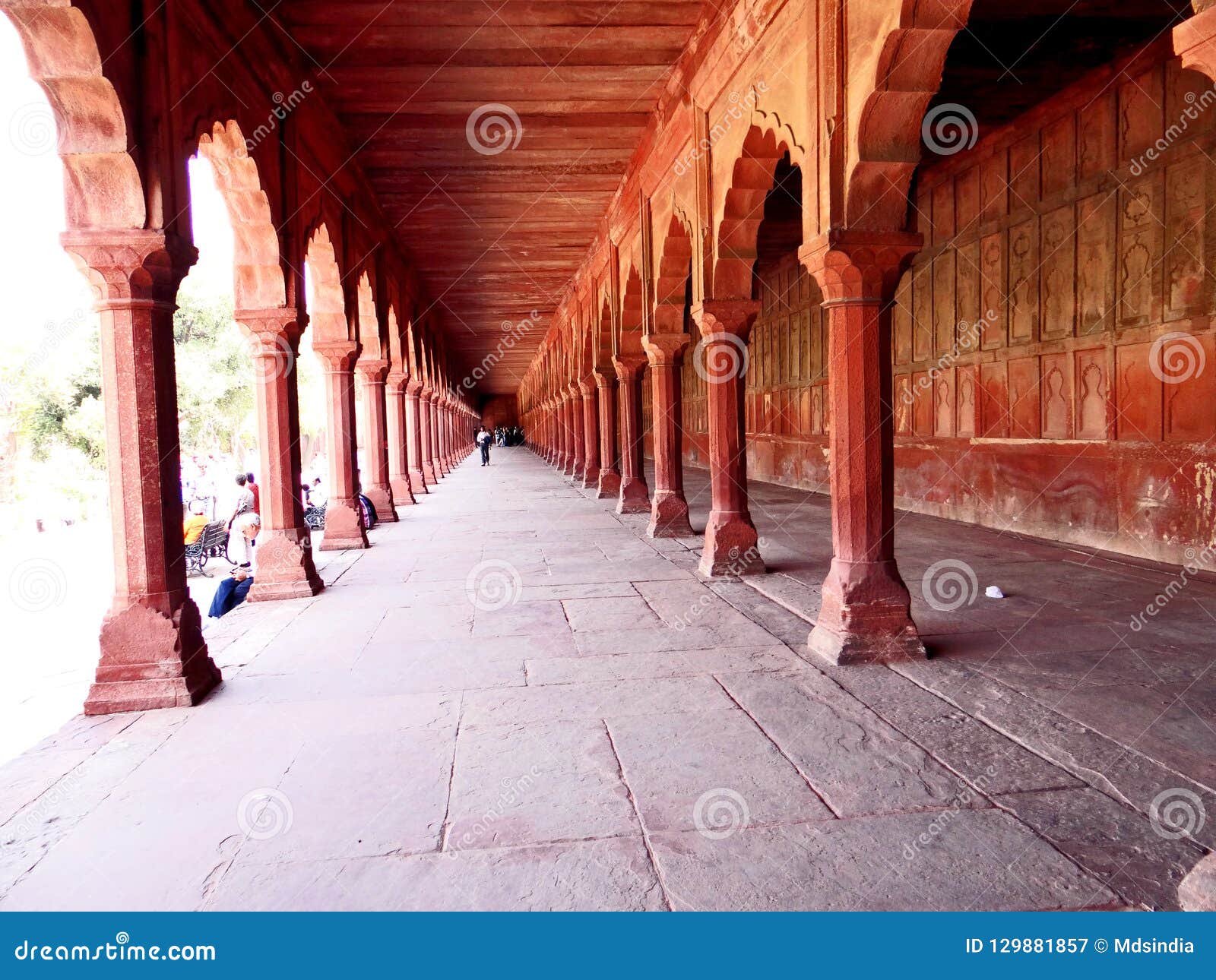 Historic Pillared Building And Tree Along Bazar Street In Hampi ...