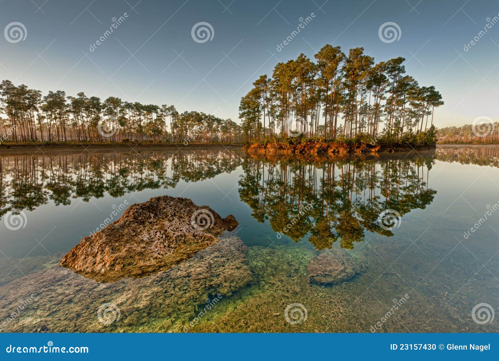 Long Pine Key Lake stock photo. Image of water, dawn - 23157430