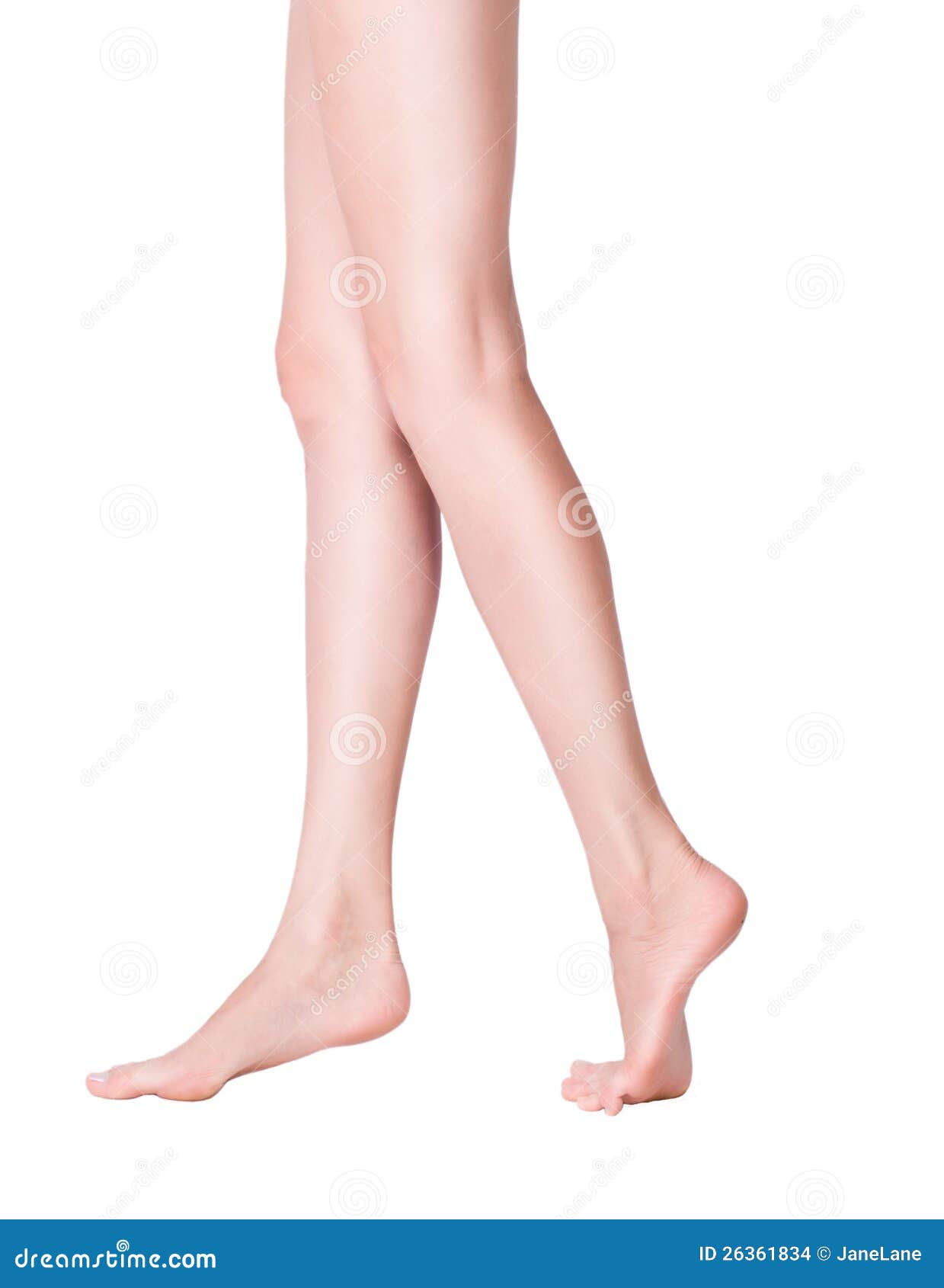Long Pretty Woman Legs Isolated on White Stock Photo - Image of purity ...