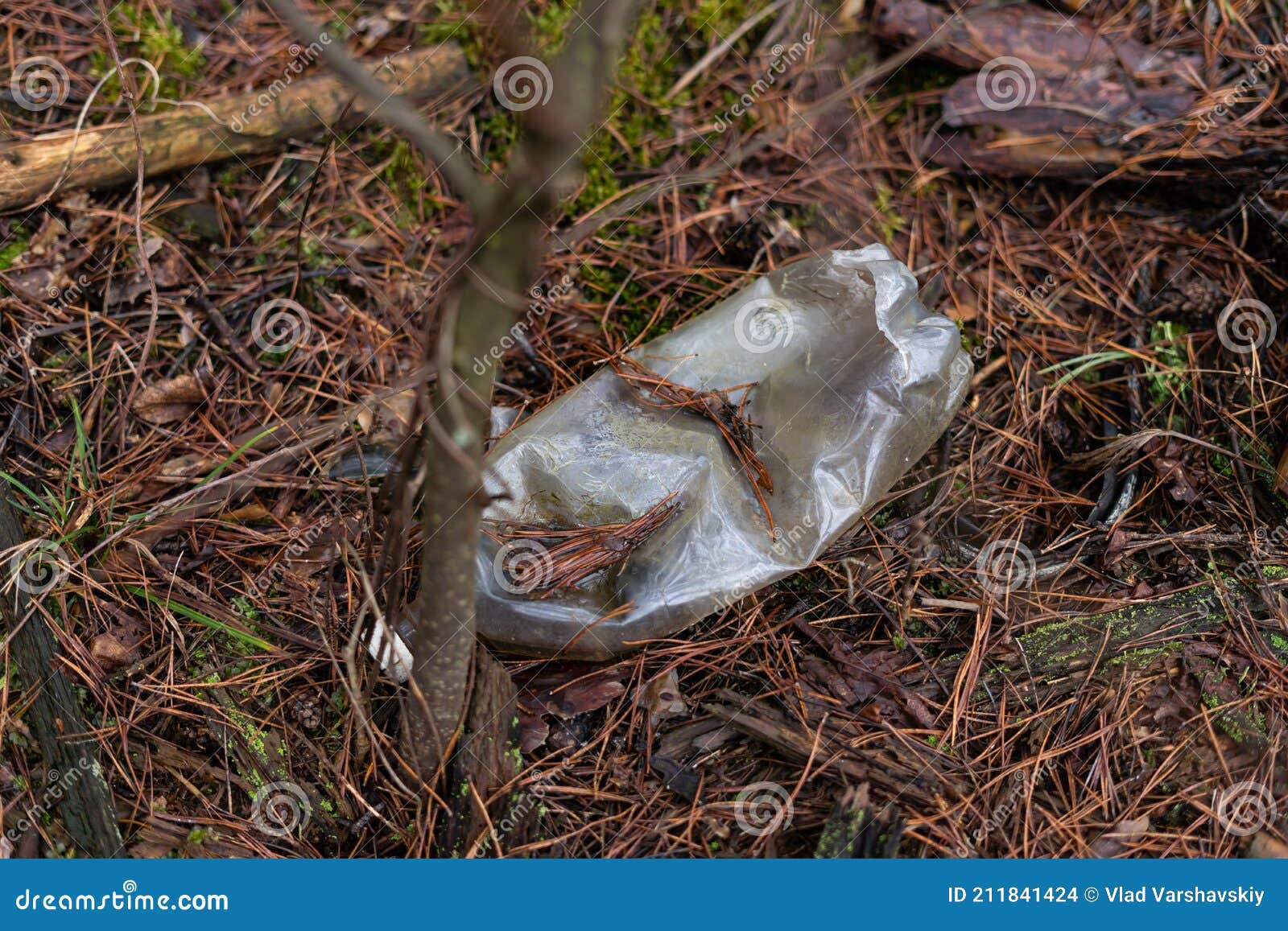 Long Process of Decomposition of a Plastic Bottle in the Forest Stock ...