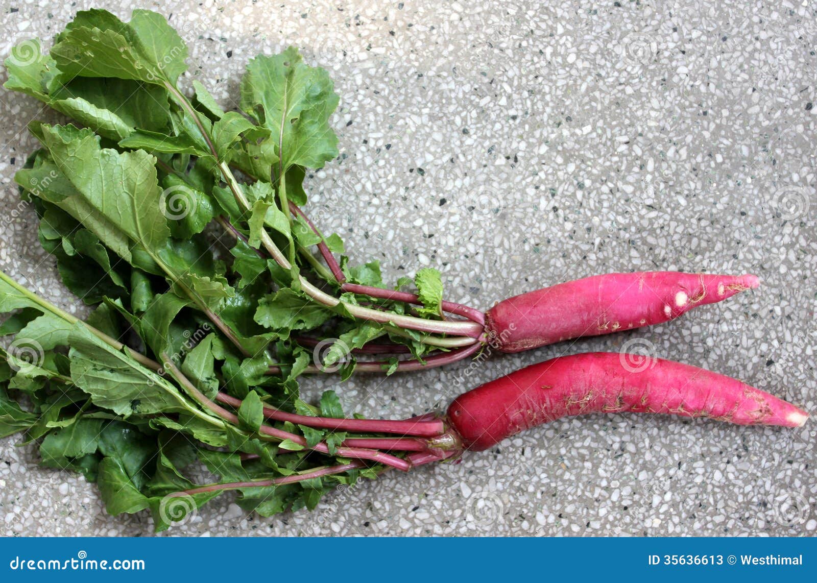 Long radis rouge image stock. Image du lames, radis, cuit - 35636613