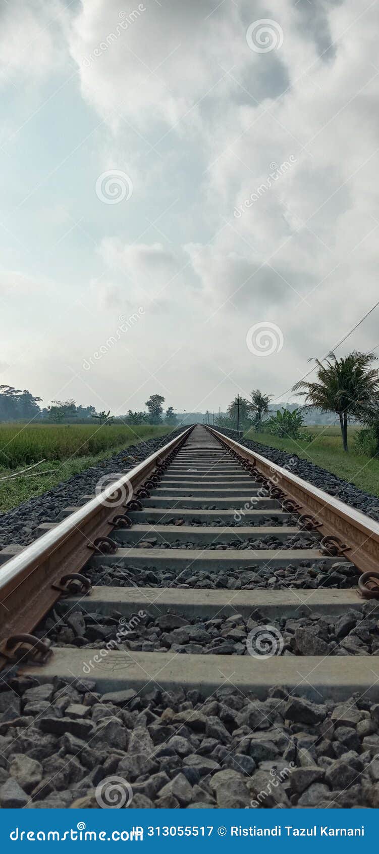 The long rail road stock image. Image of ricepaddy, road - 313055517