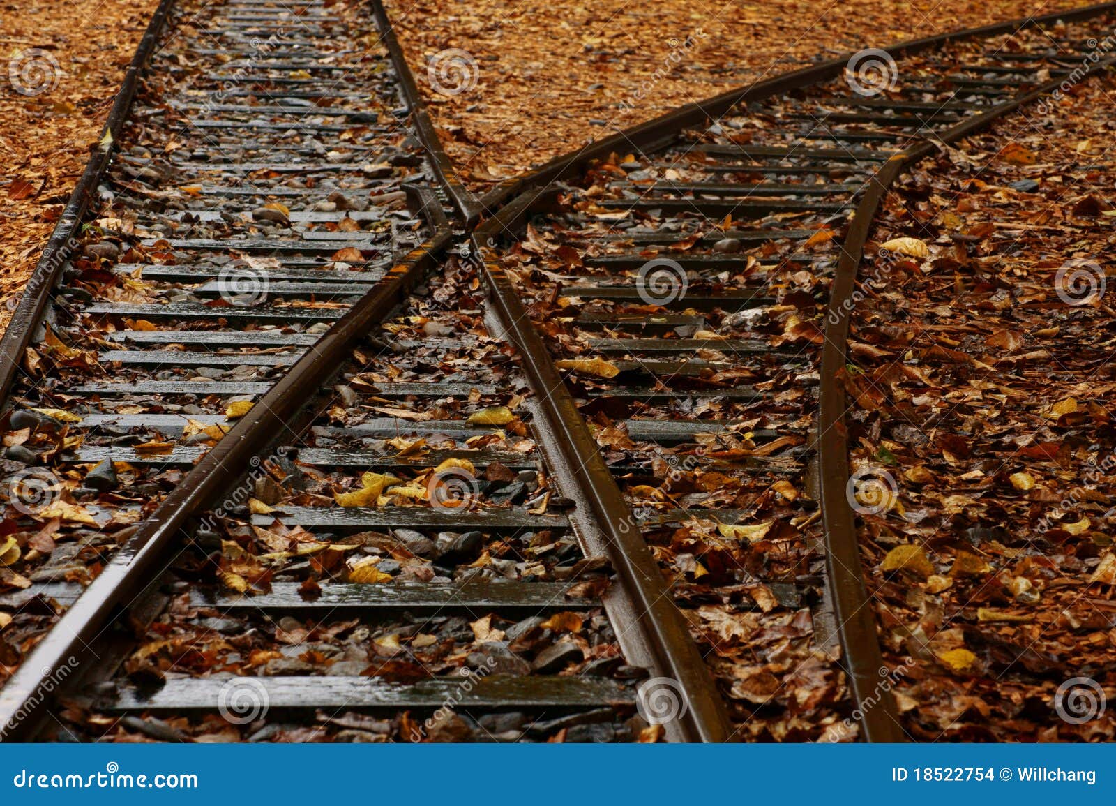 Long railway stock photo. Image of track, journey, train - 18522754