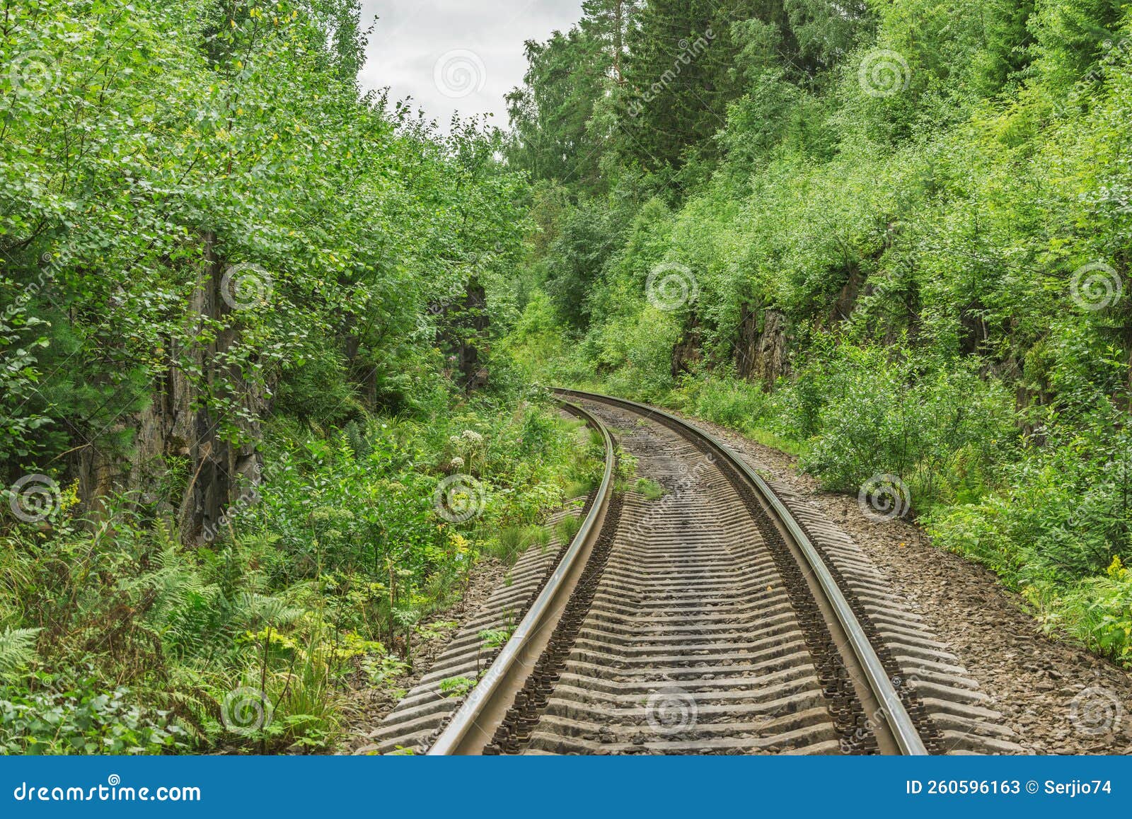 Long railway line. stock image. Image of transport, railway - 260596163