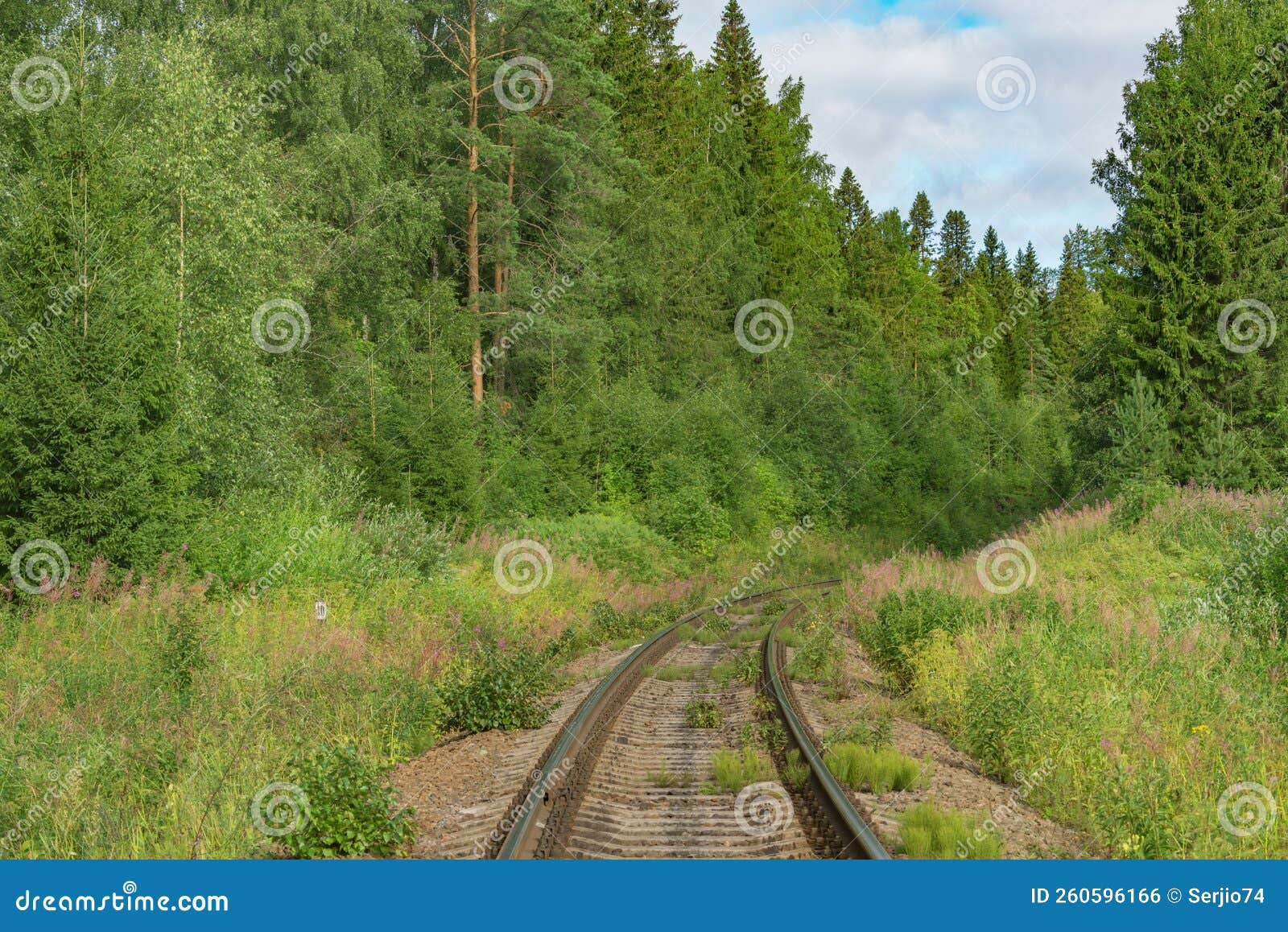 Long railway line. stock photo. Image of direct, transport - 260596166