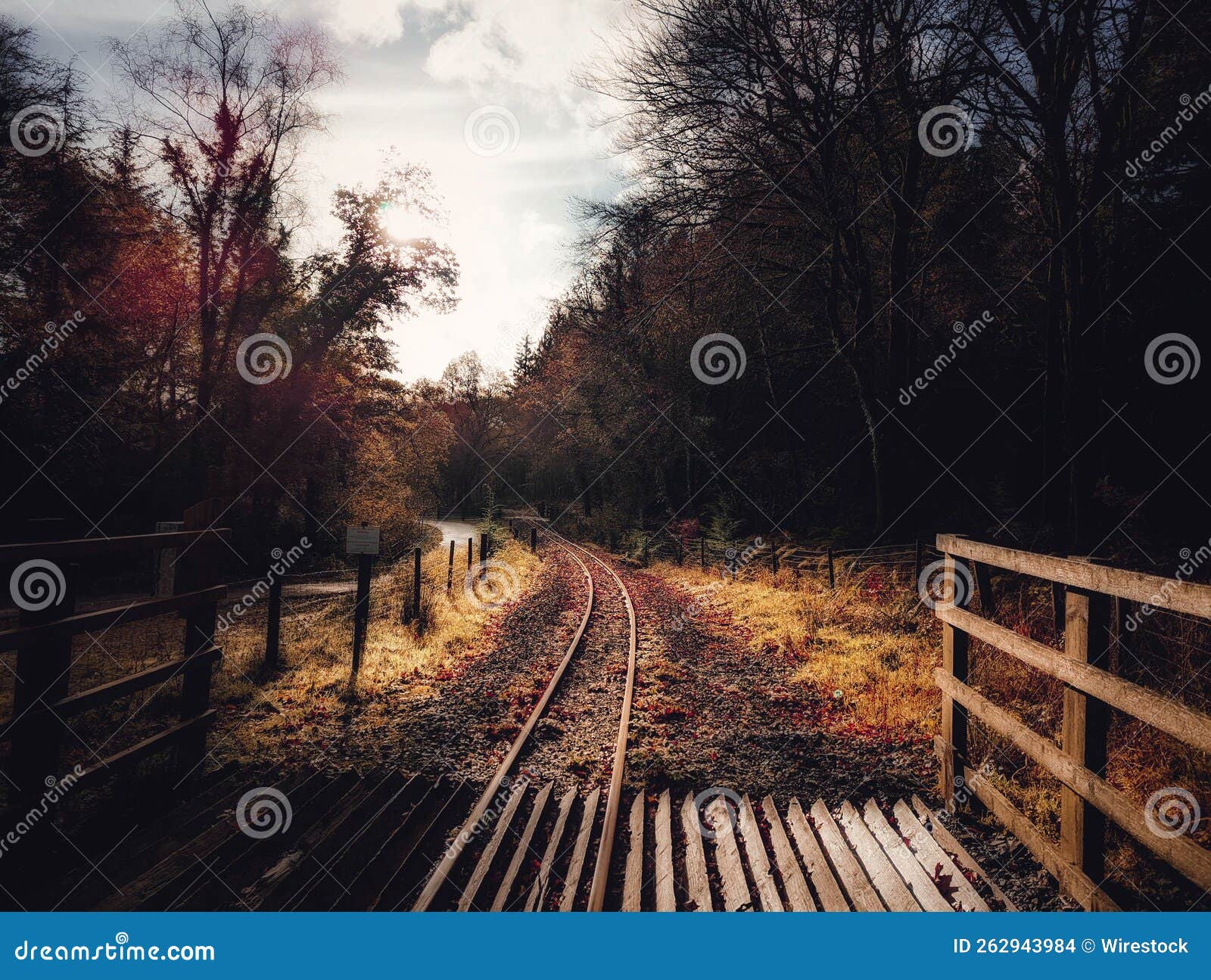 Long Railway with Trees Around it. Stock Photo - Image of rail, grass ...