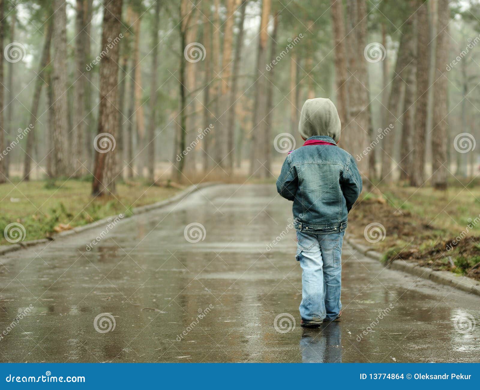 Long rainy road ahead stock photo. Image of road, leaving - 13774864